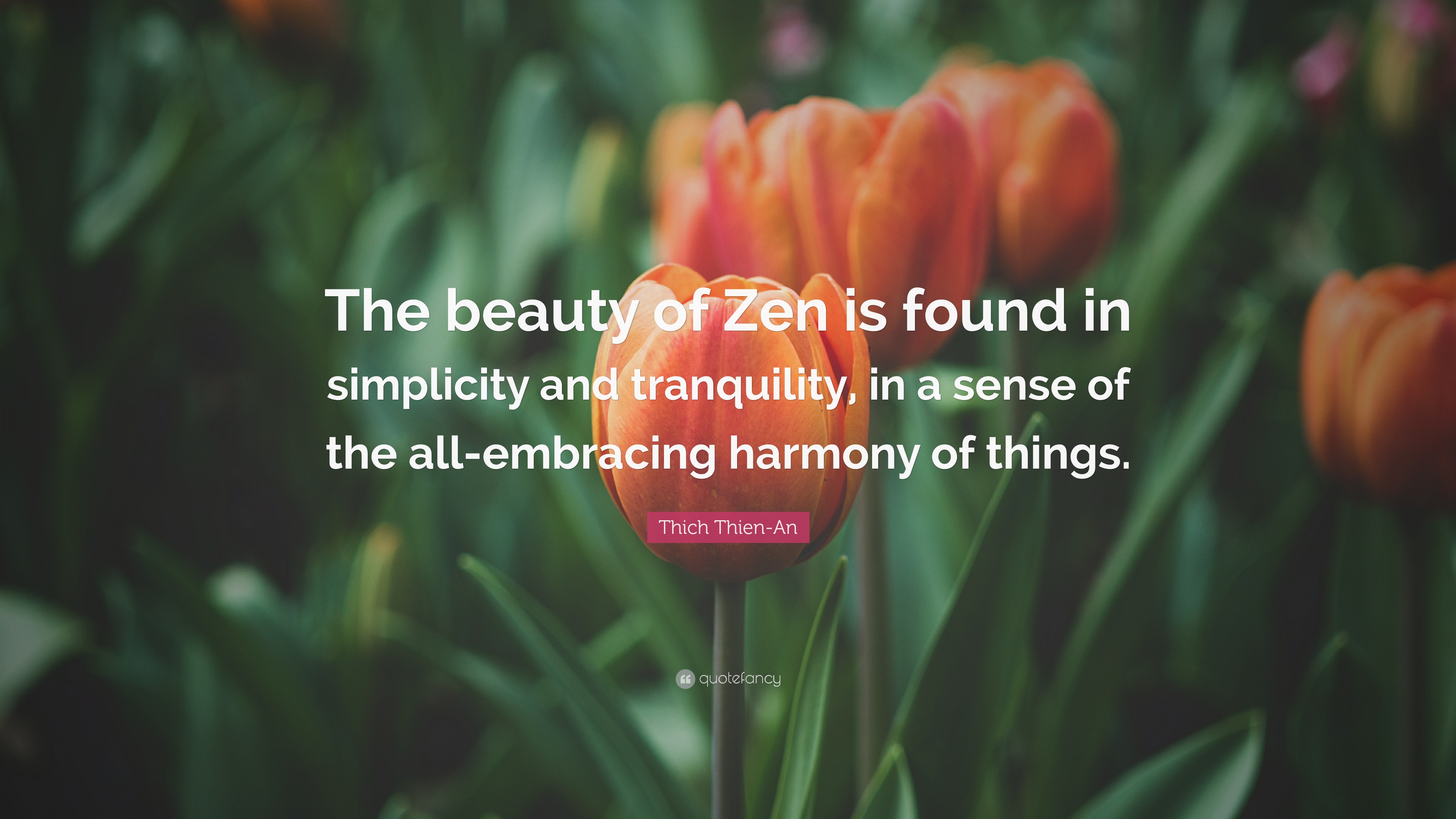 Thich Thien-An Quote: “The beauty of Zen is found in simplicity and ...