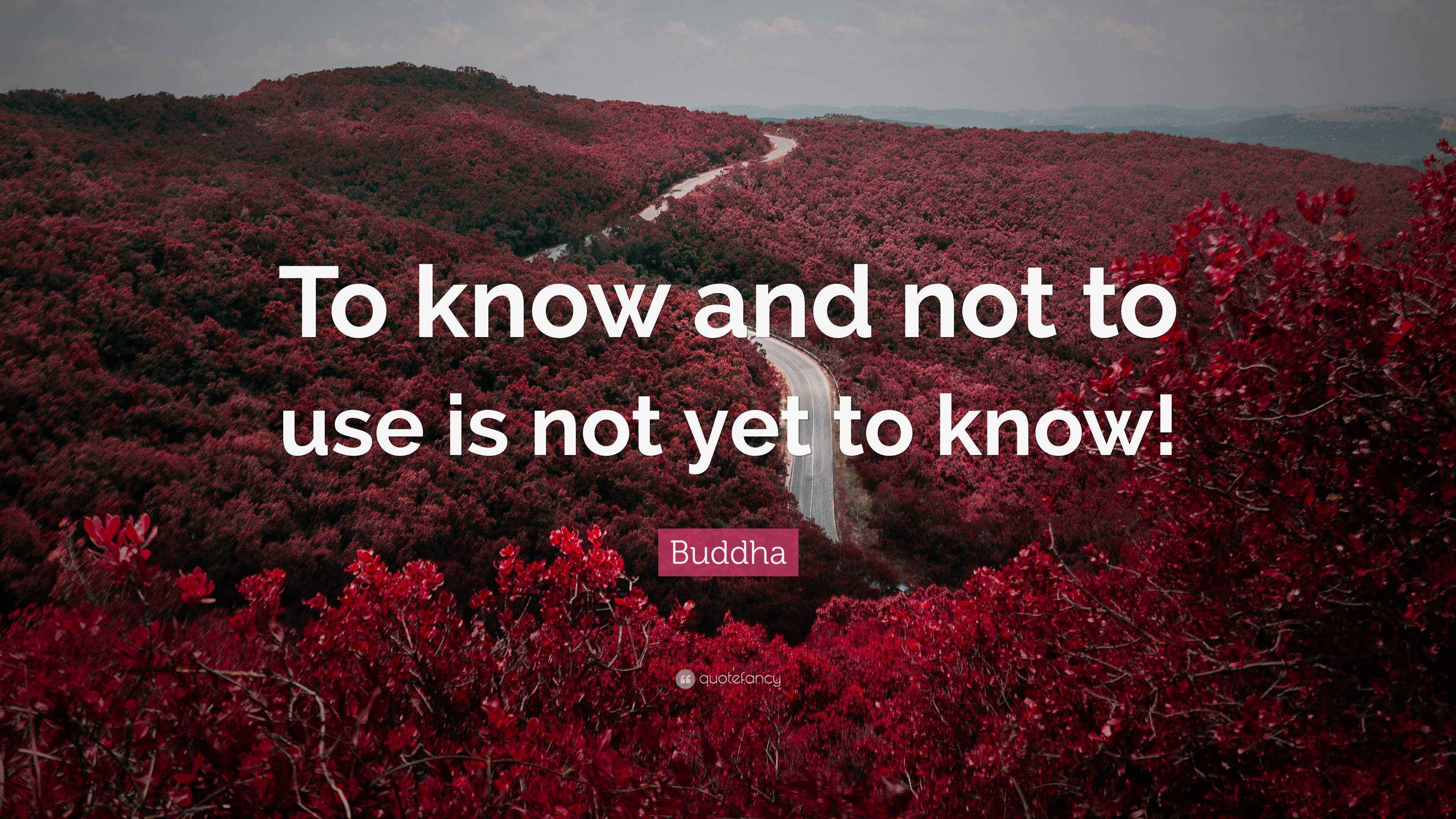 Buddha Quote: “To know and not to use is not yet to know!”