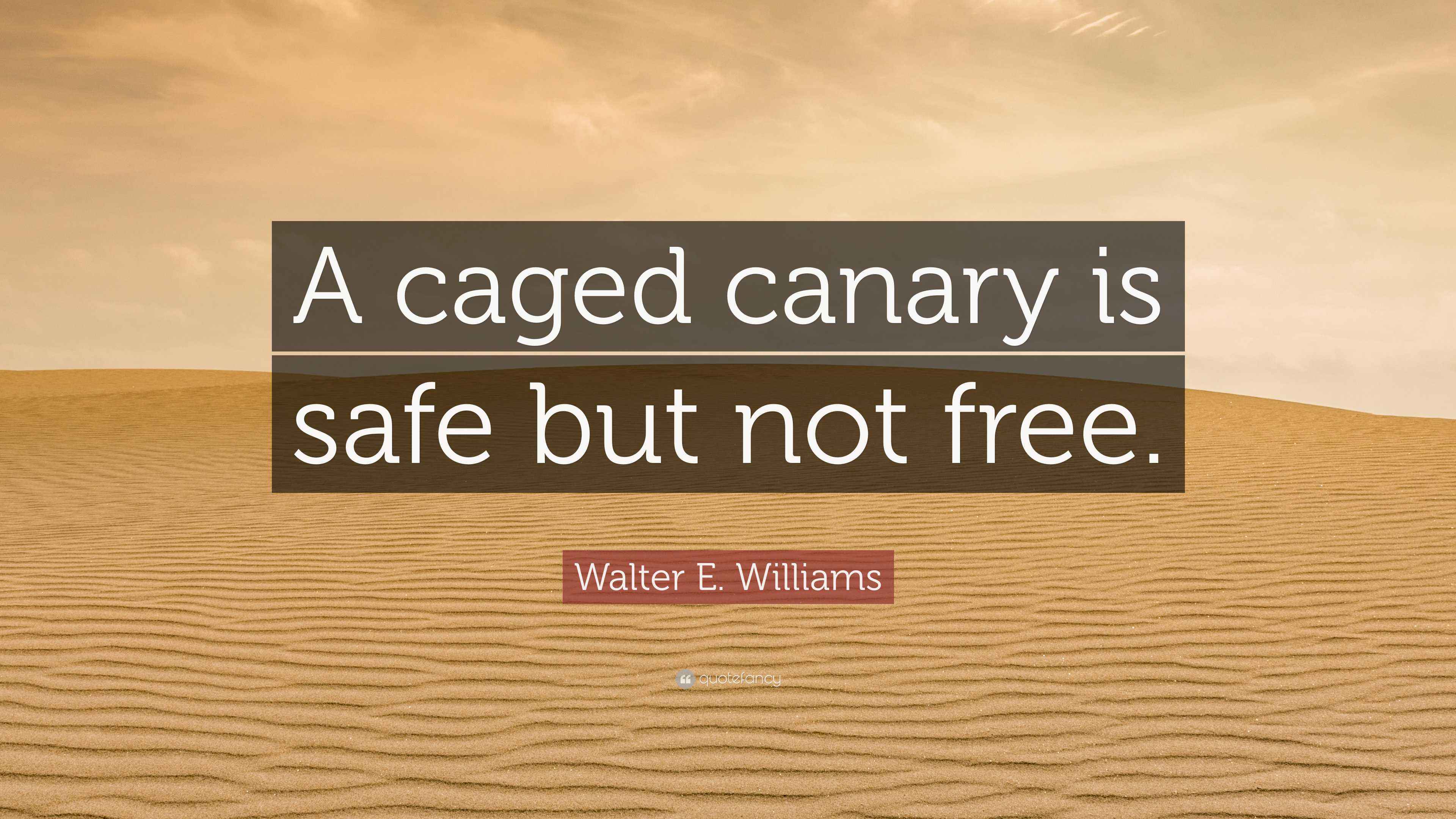 Walter E. Williams Quote: “A caged canary is safe but not free.”