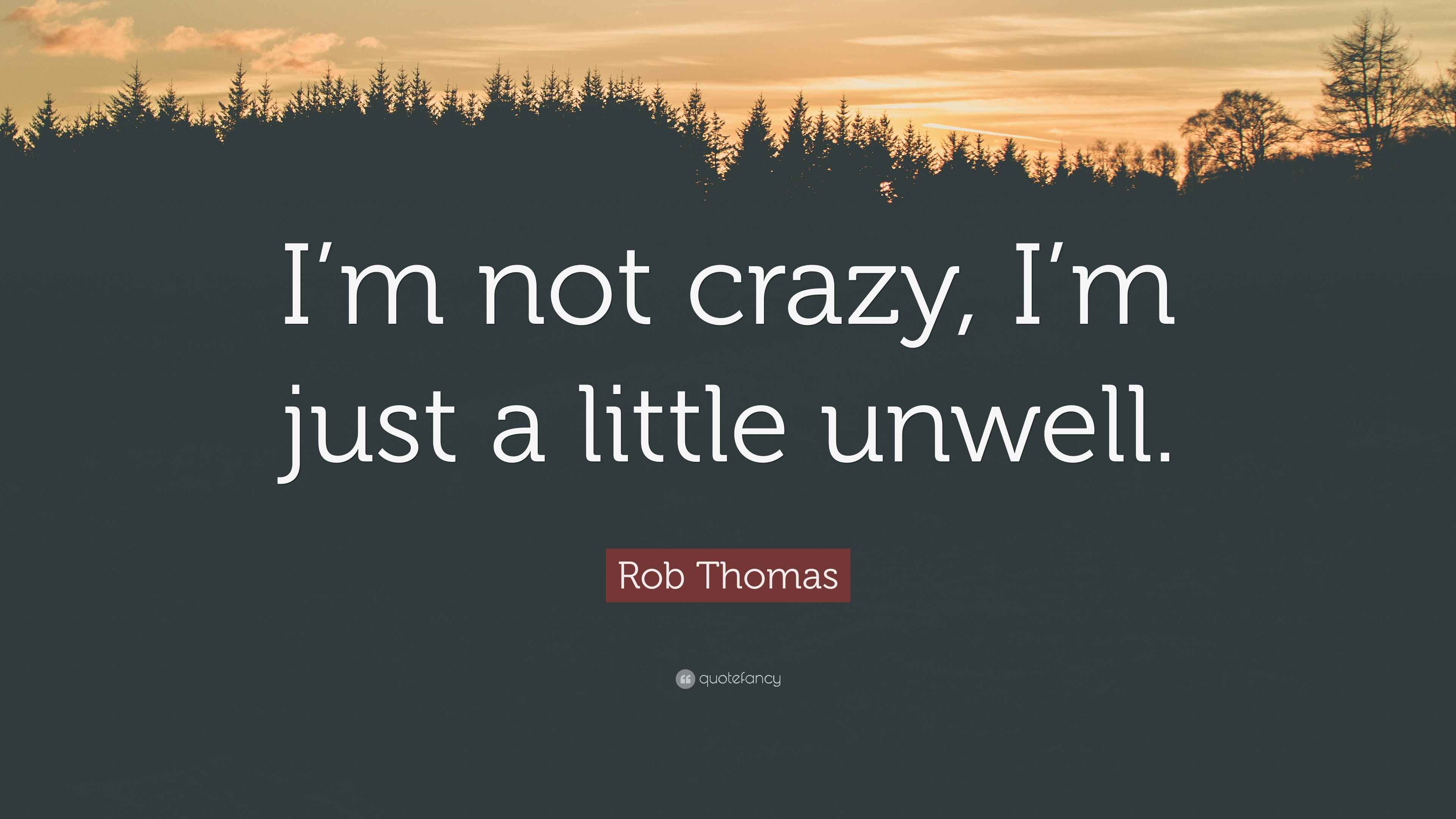 Rob Thomas Quote: “Im not crazy, Im just a little unwell.”