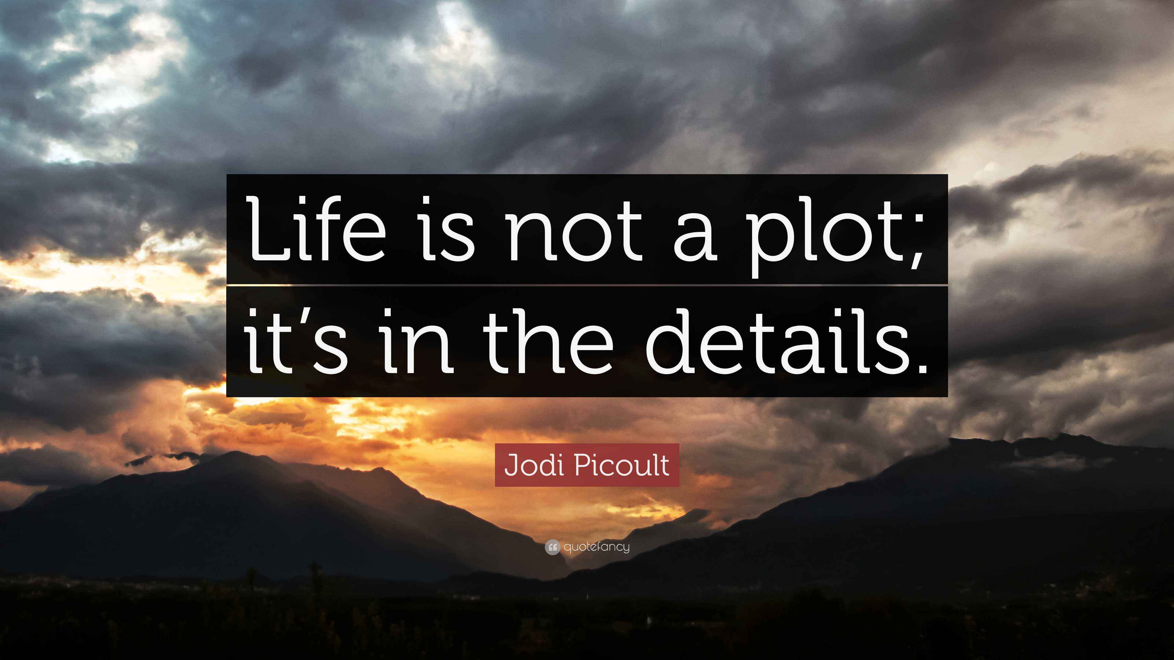 Jodi Picoult Quote: “Life is not a plot; it’s in the details.”
