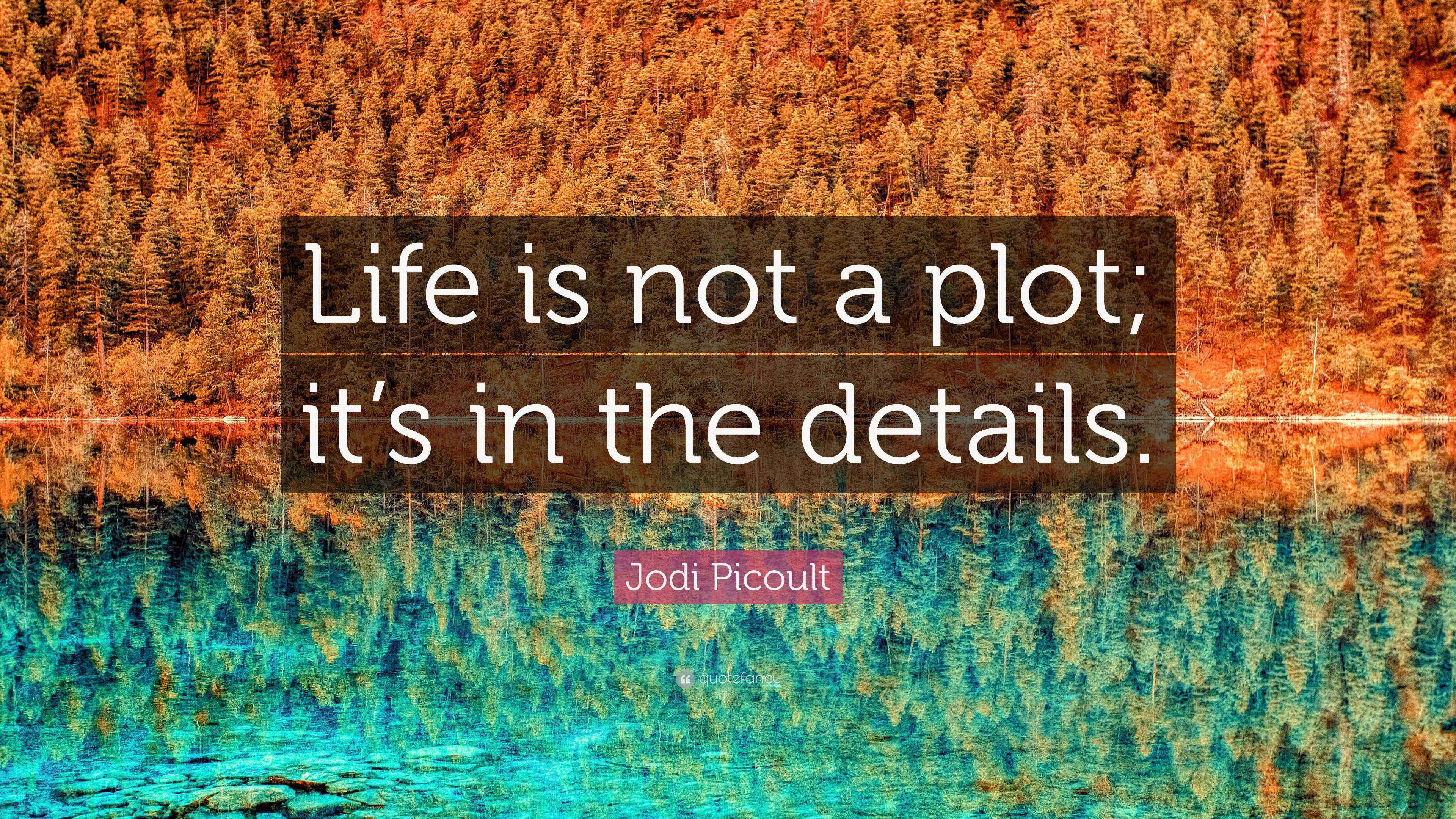 Jodi Picoult Quote: “Life is not a plot; it’s in the details.”