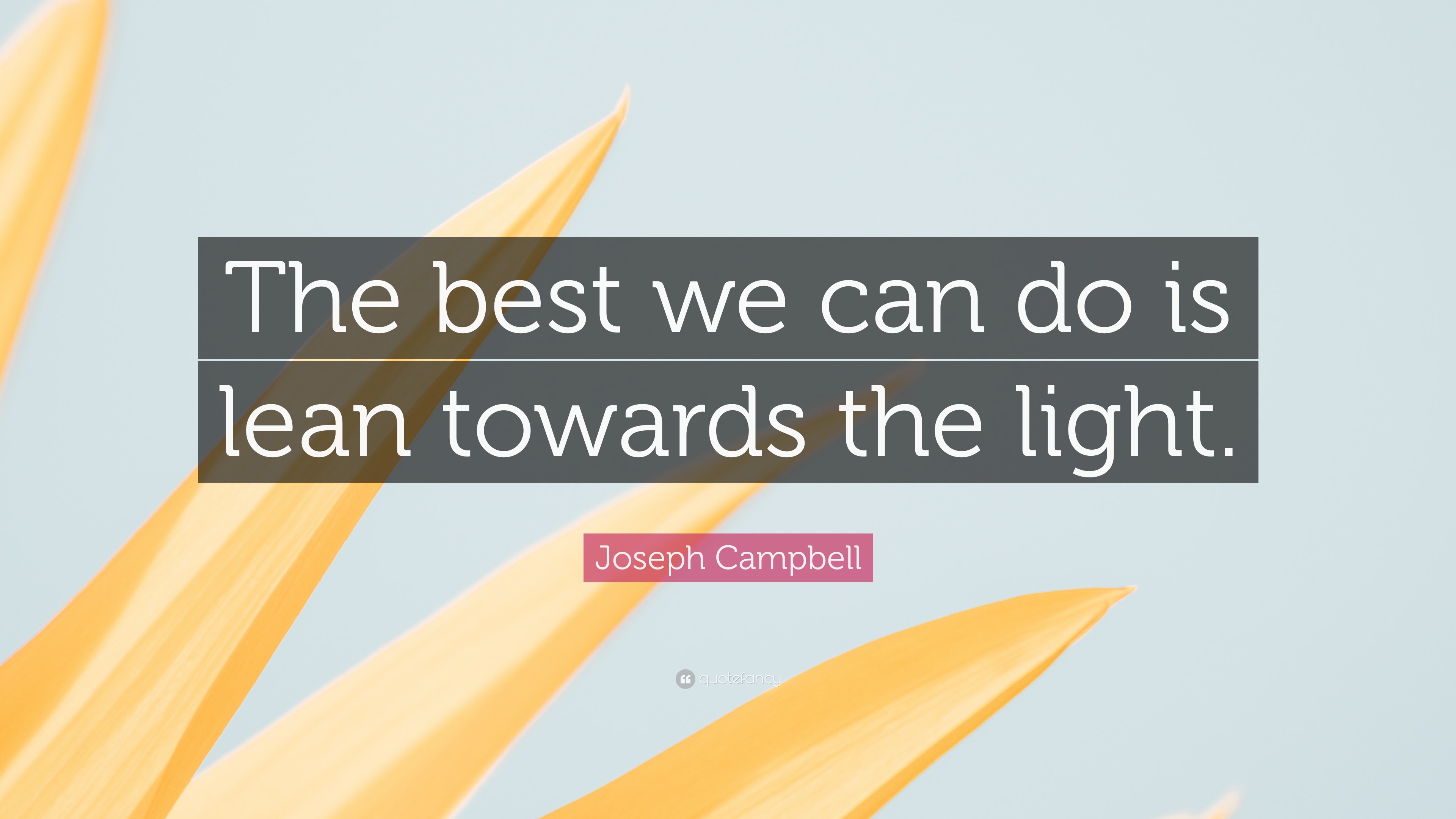 Joseph Campbell Quote: “The best we can do is lean towards the light.”