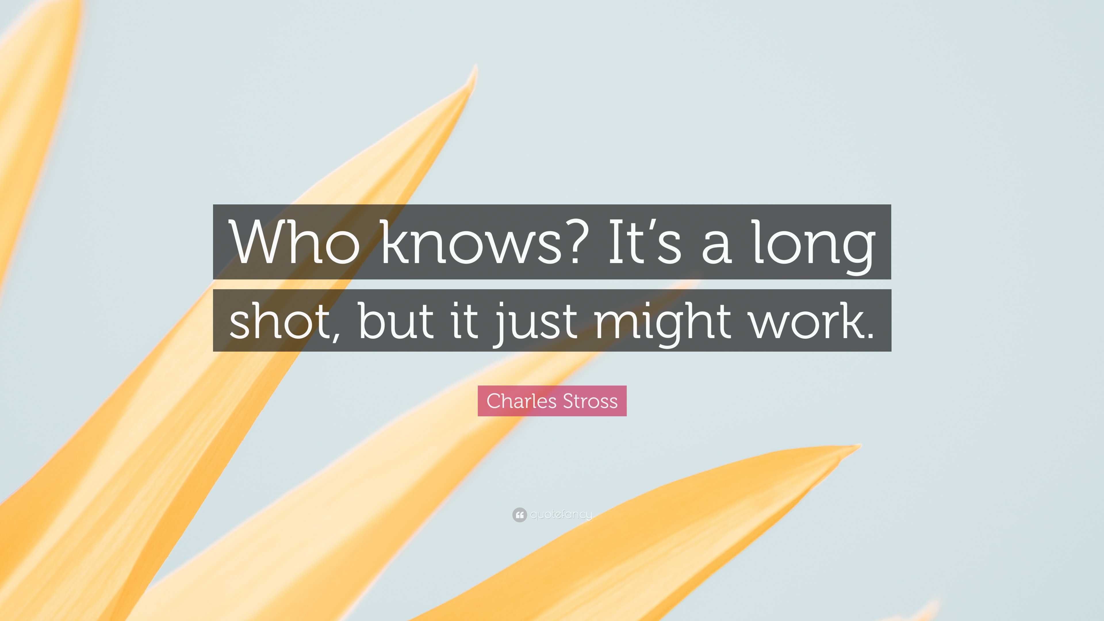 Charles Stross Quote: “Who knows? It’s a long shot, but it just might ...