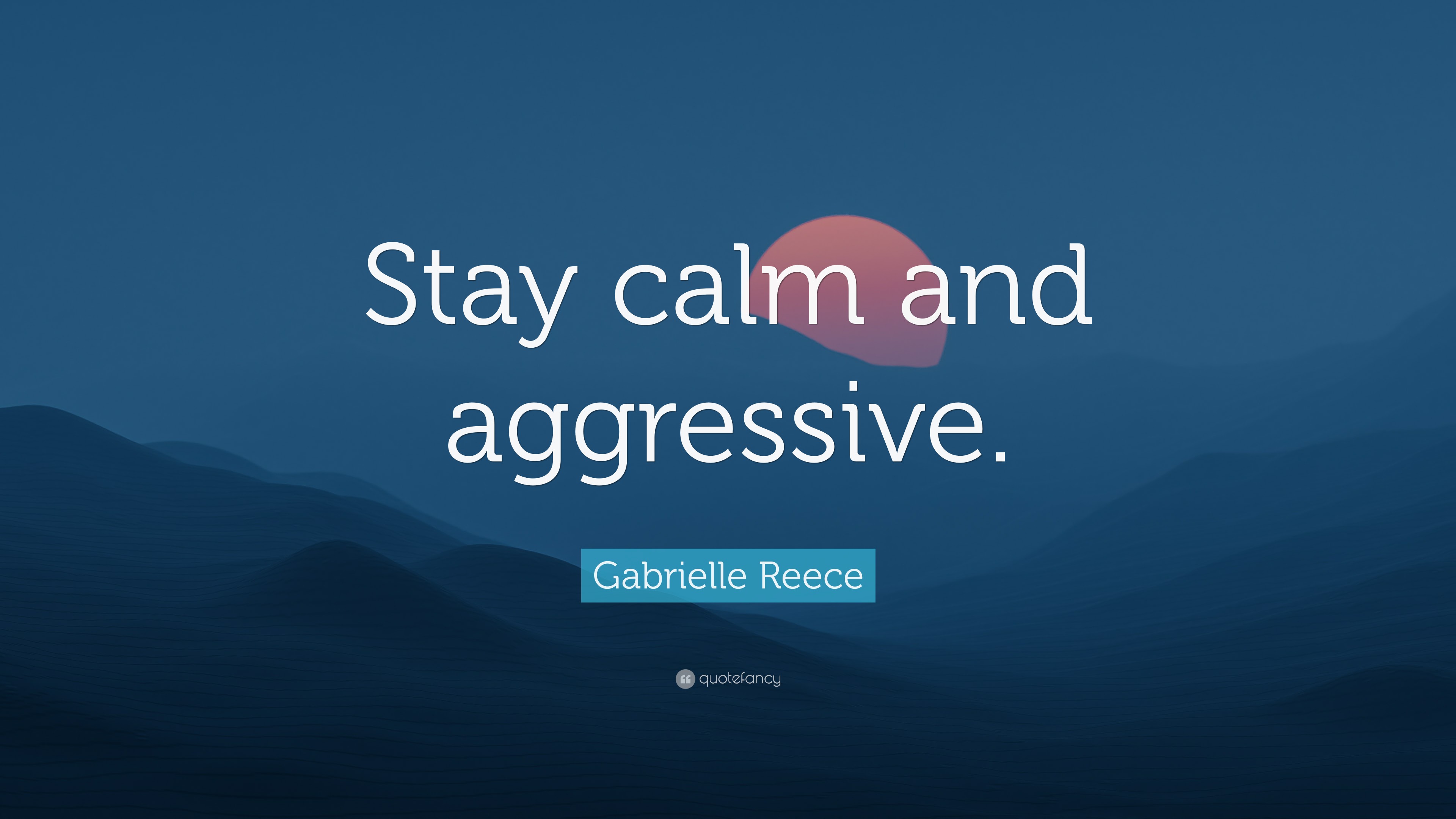 Gabrielle Reece Quote: “Stay calm and aggressive.”