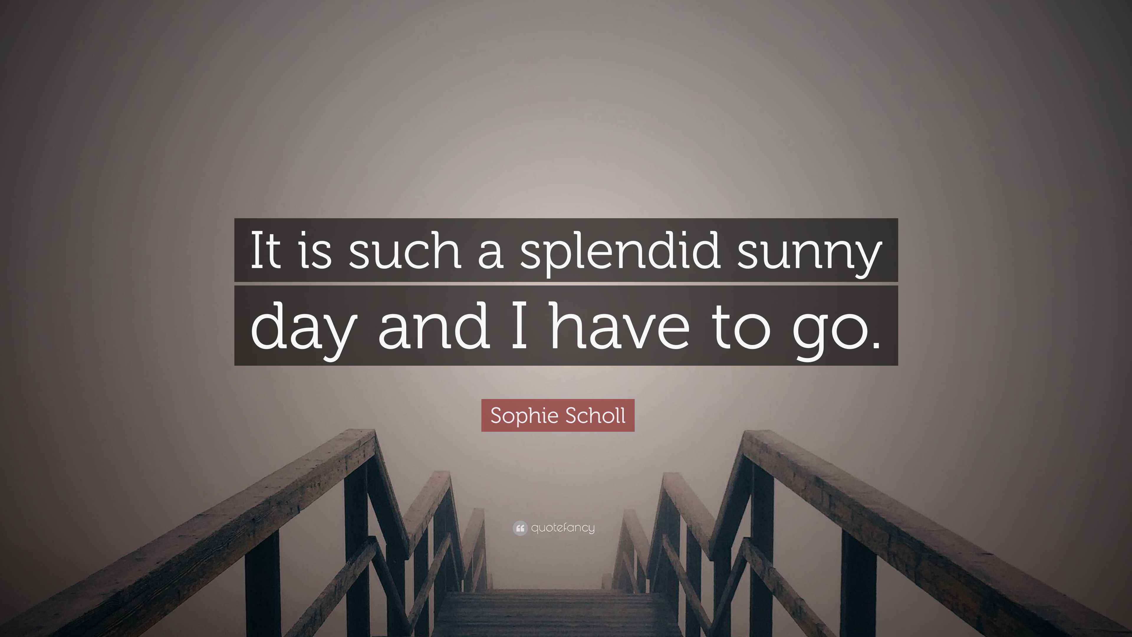 Sophie Scholl Quote: “It is such a splendid sunny day and I have to go.”