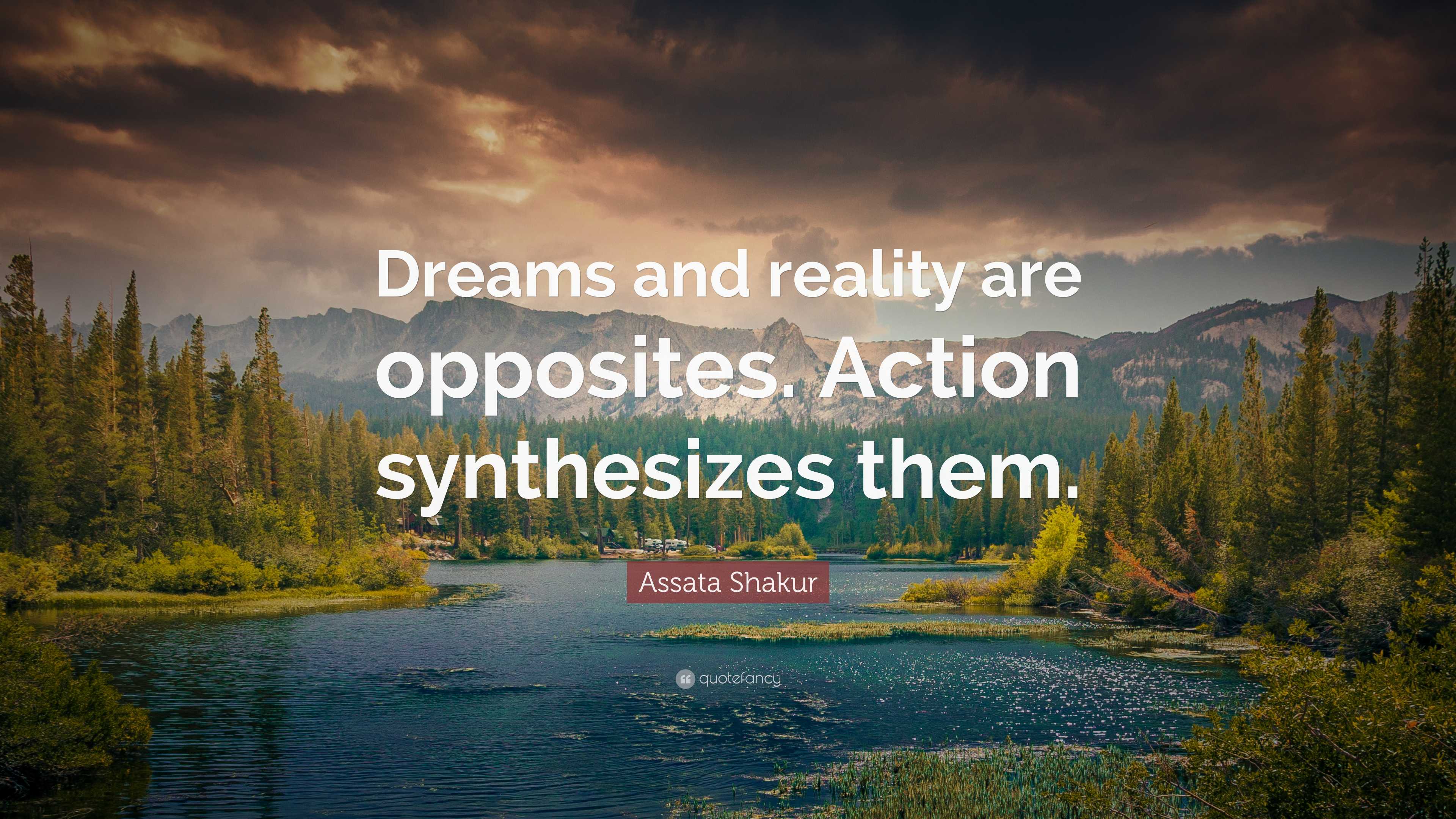 Assata Shakur Quote: “Dreams and reality are opposites. Action ...