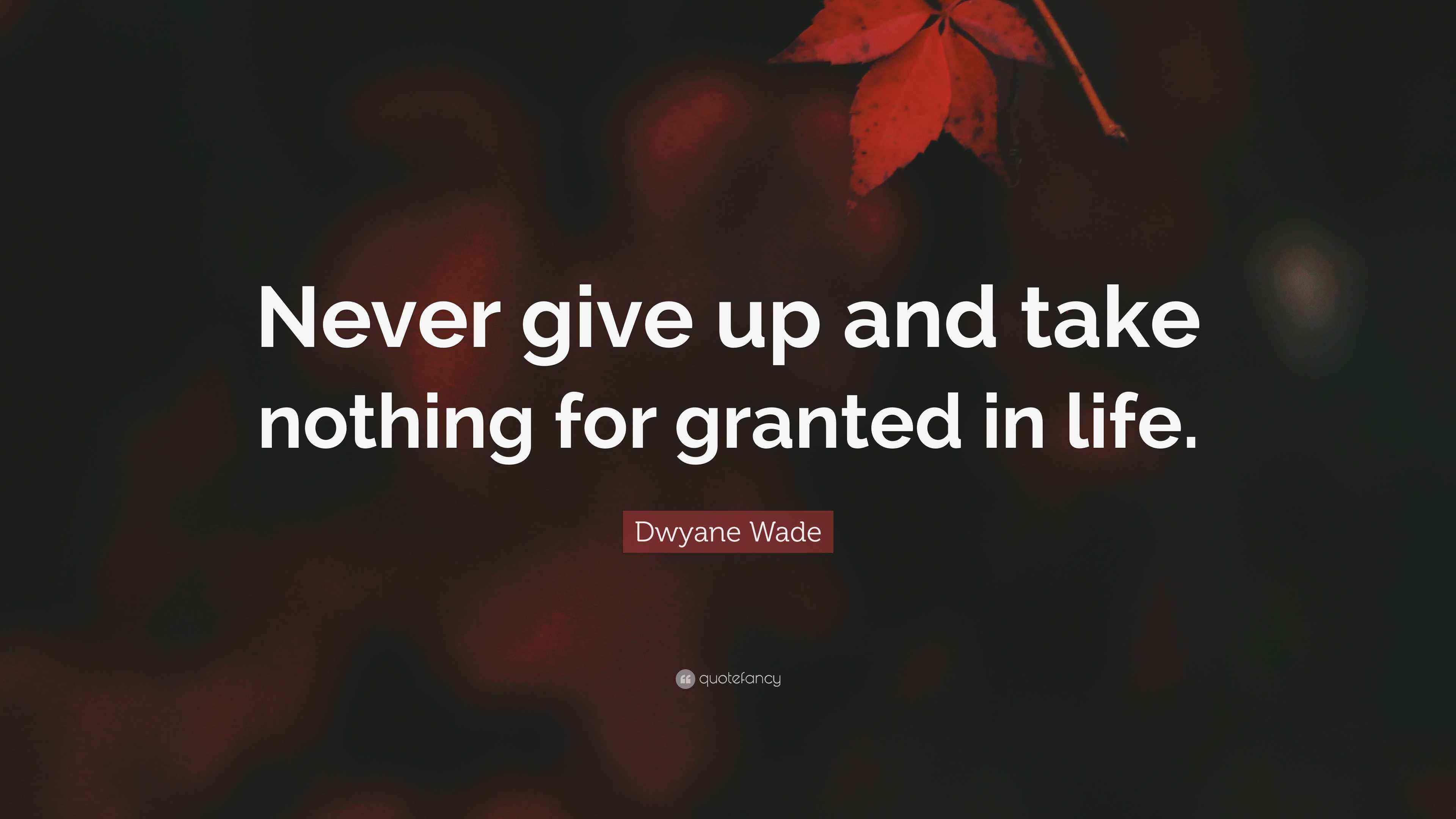Dwyane Wade Quote: “Never give up and take nothing for granted in life.”
