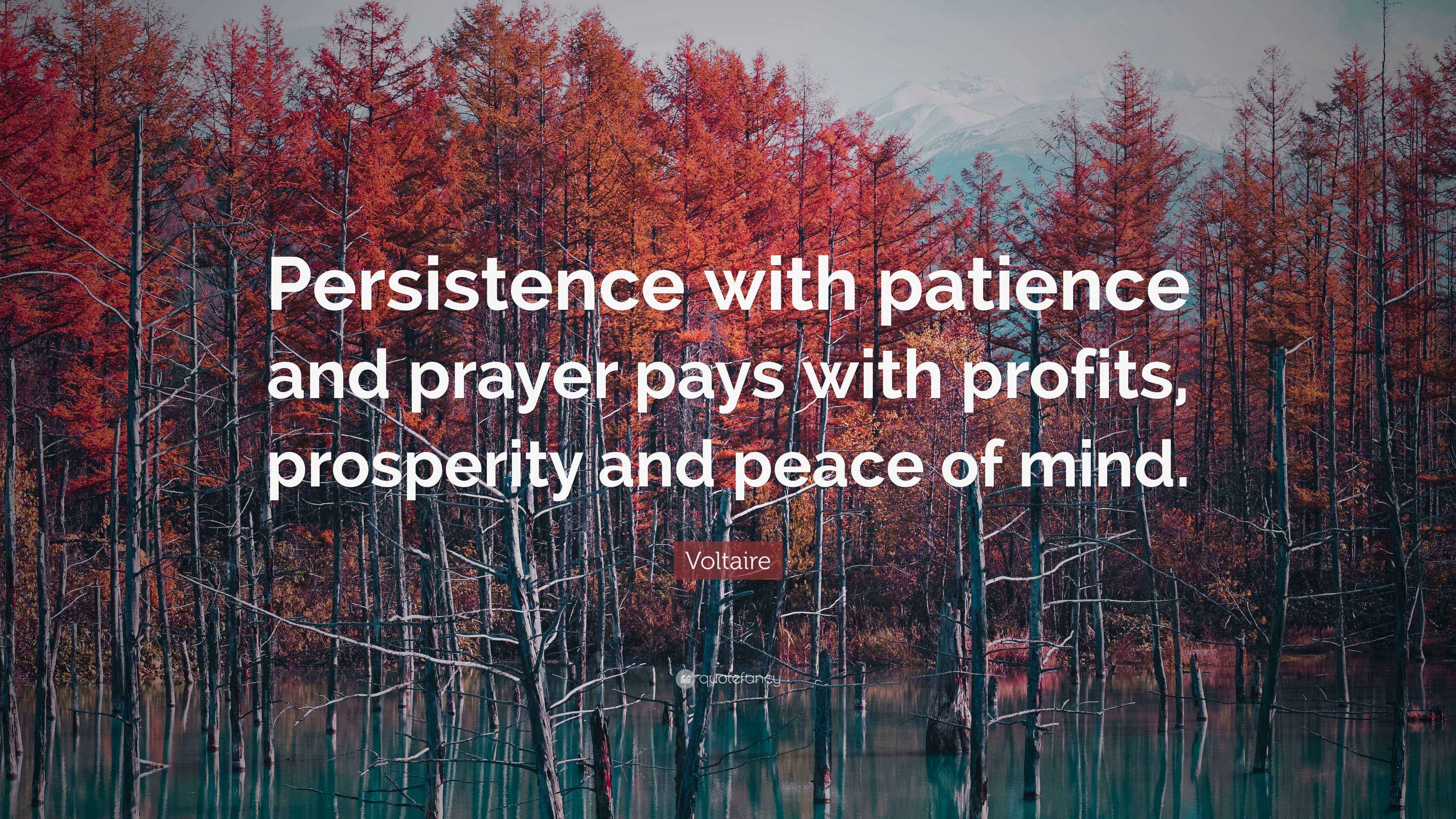 Voltaire Quote: “Persistence with patience and prayer pays with profits ...