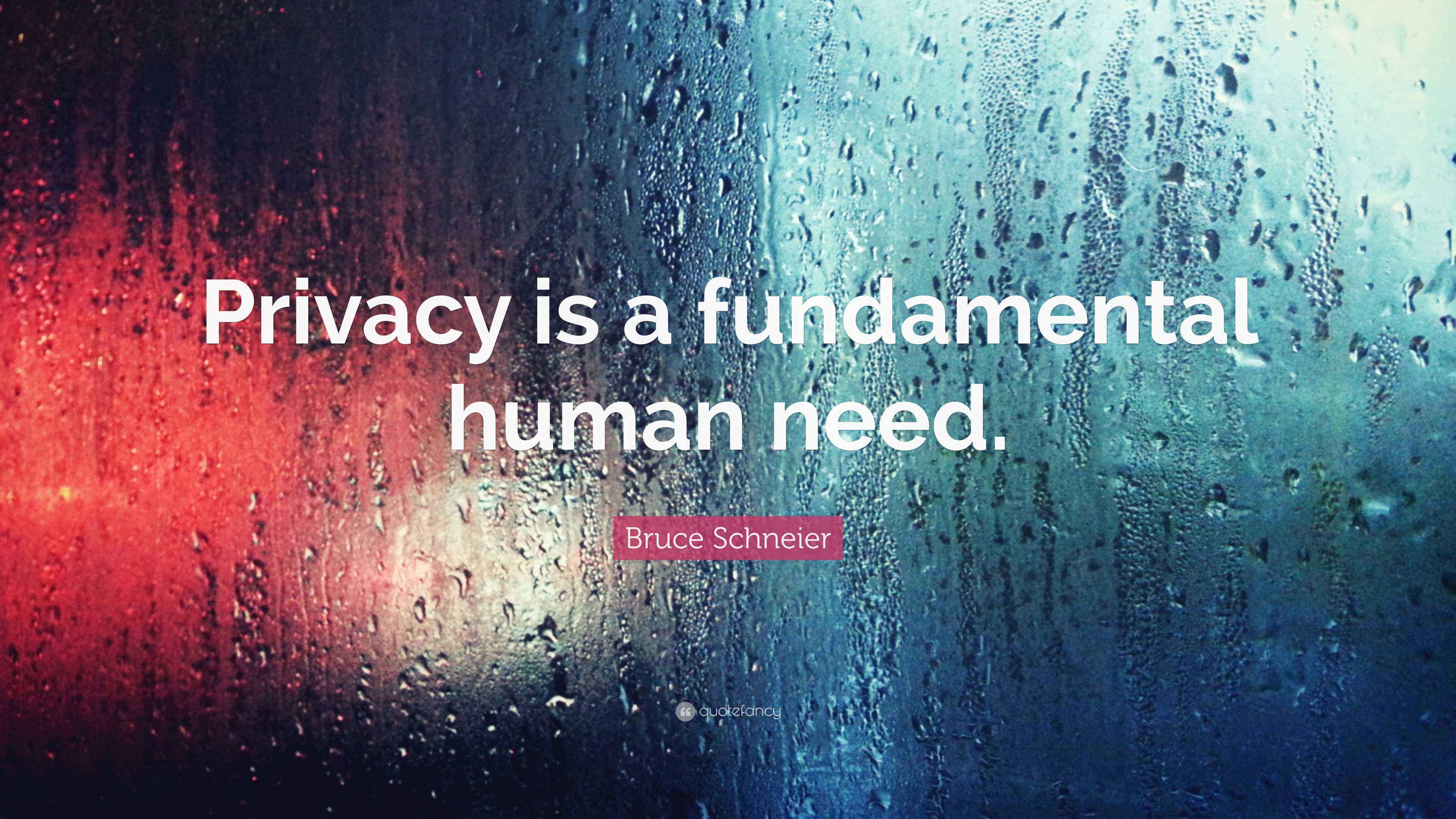 Bruce Schneier Quote: “Privacy is a fundamental human need.”