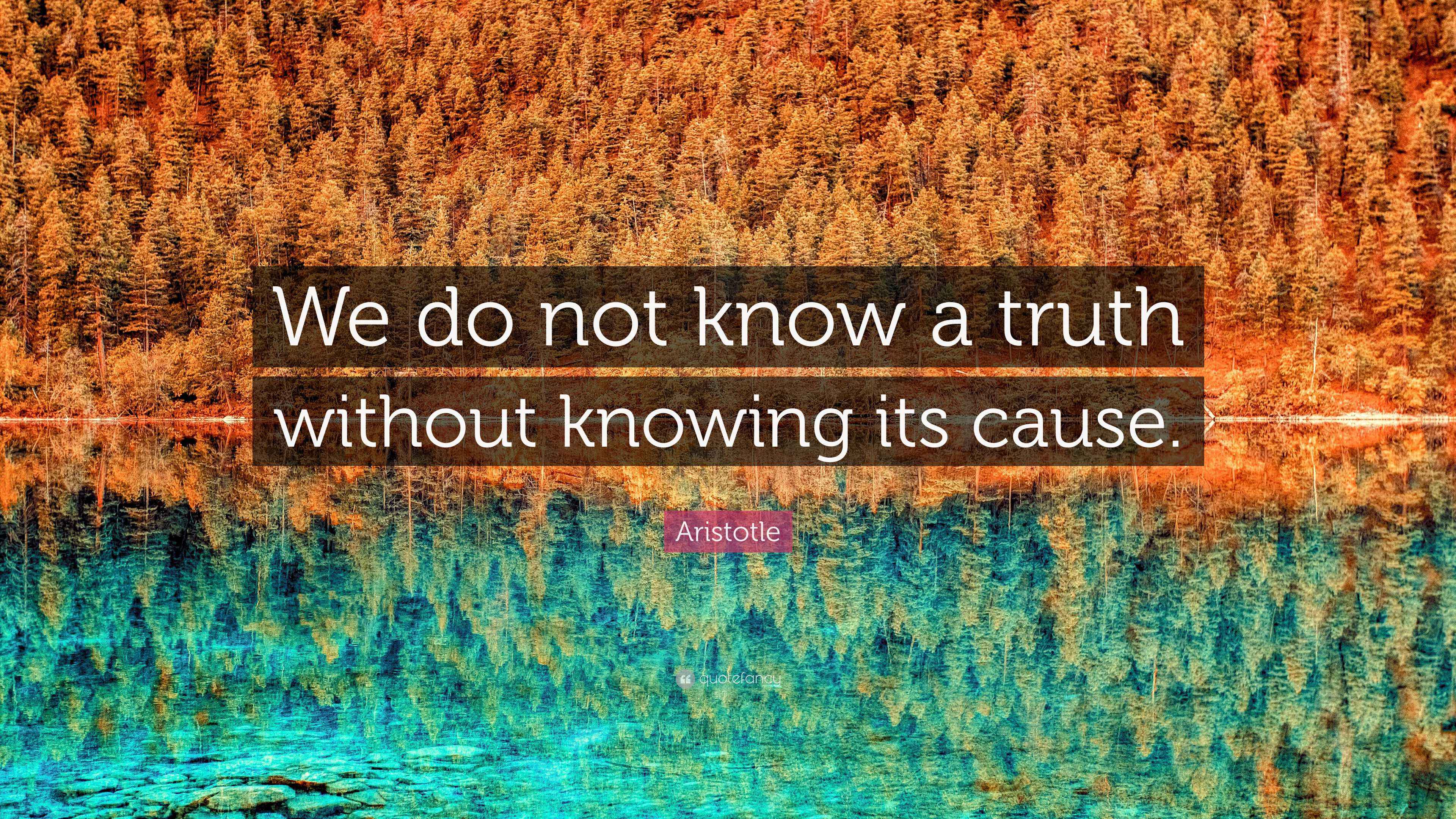 Aristotle Quote: “We do not know a truth without knowing its cause.”