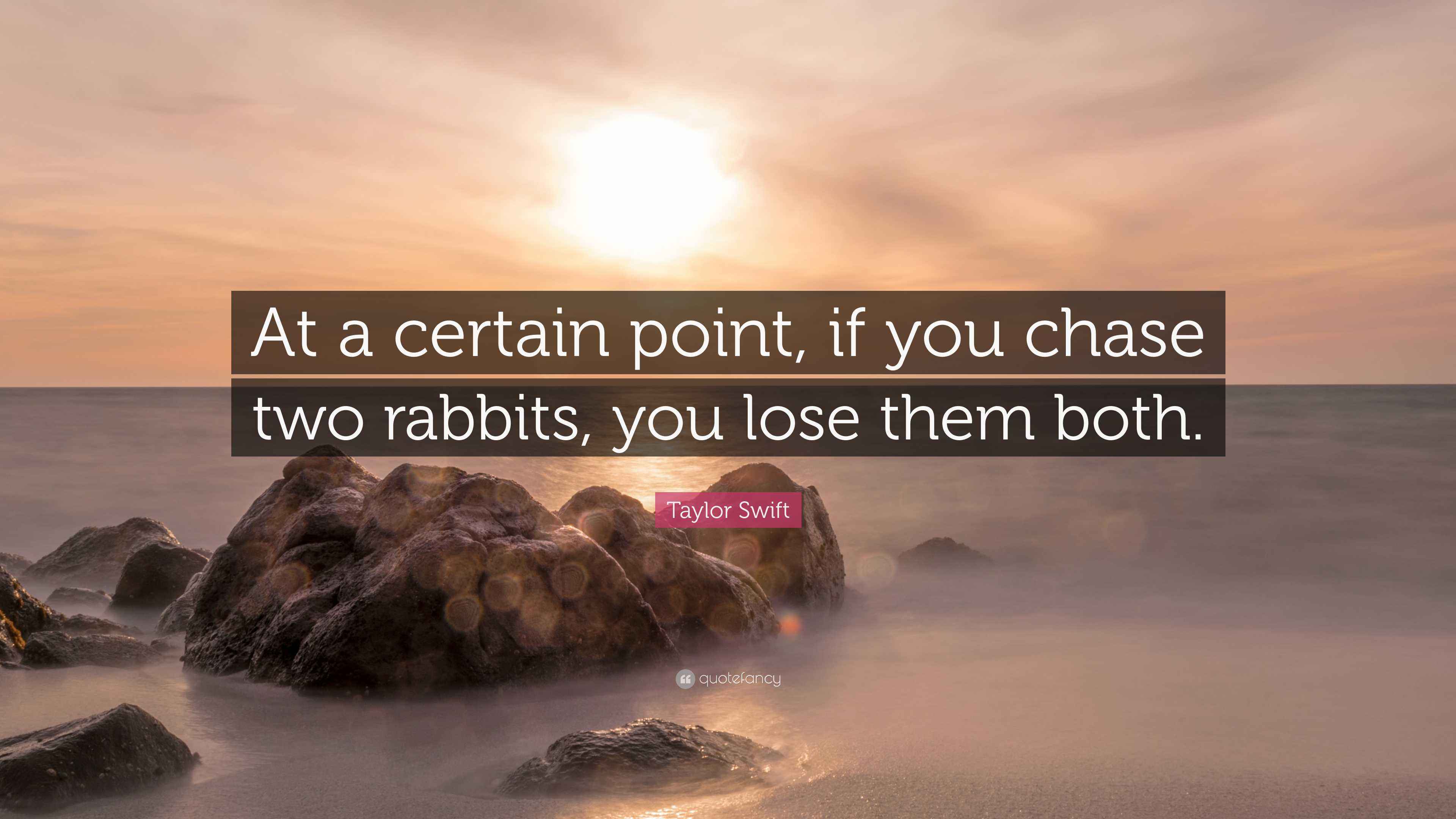 Taylor Swift Quote: “At a certain point, if you chase two rabbits, you ...
