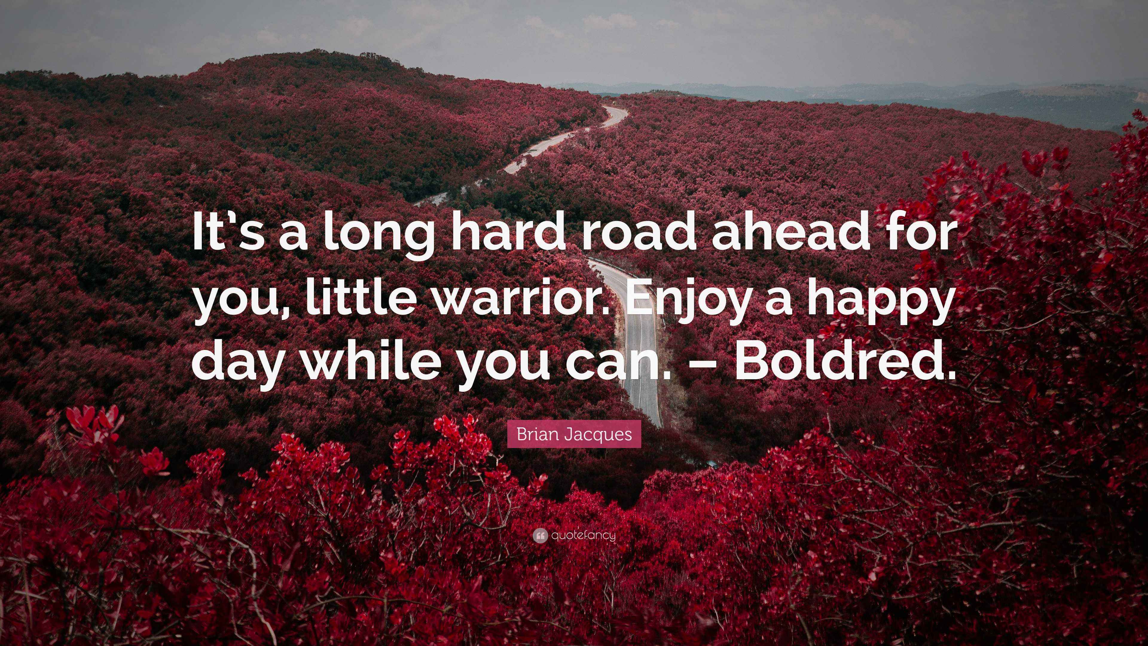 Brian Jacques Quote: “It’s a long hard road ahead for you, little ...