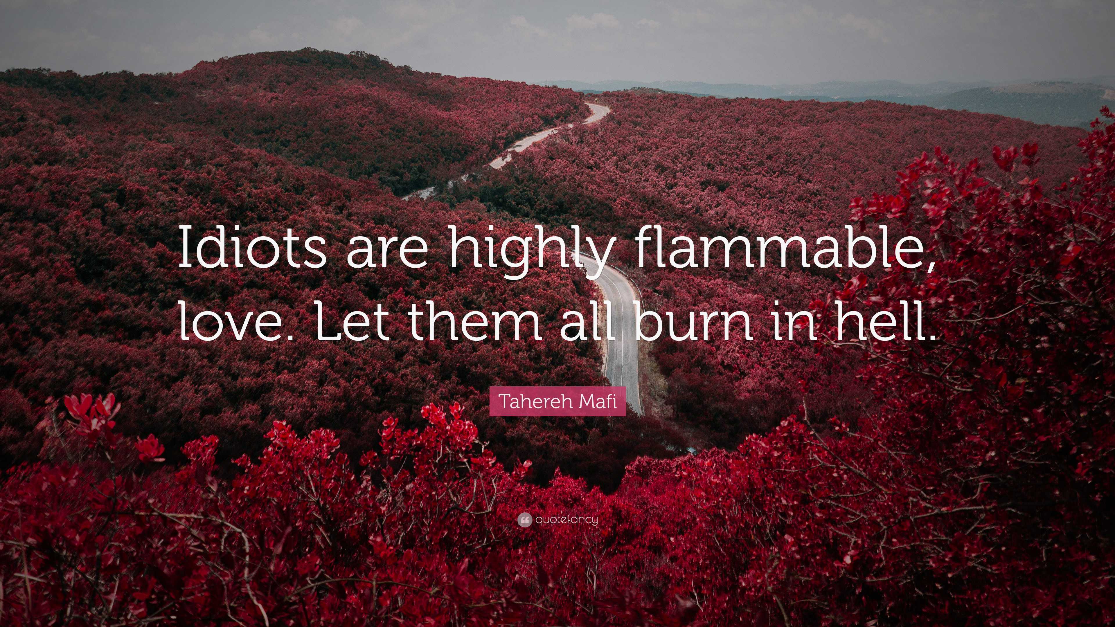Tahereh Mafi Quote: “Idiots are highly flammable, love. Let them all ...