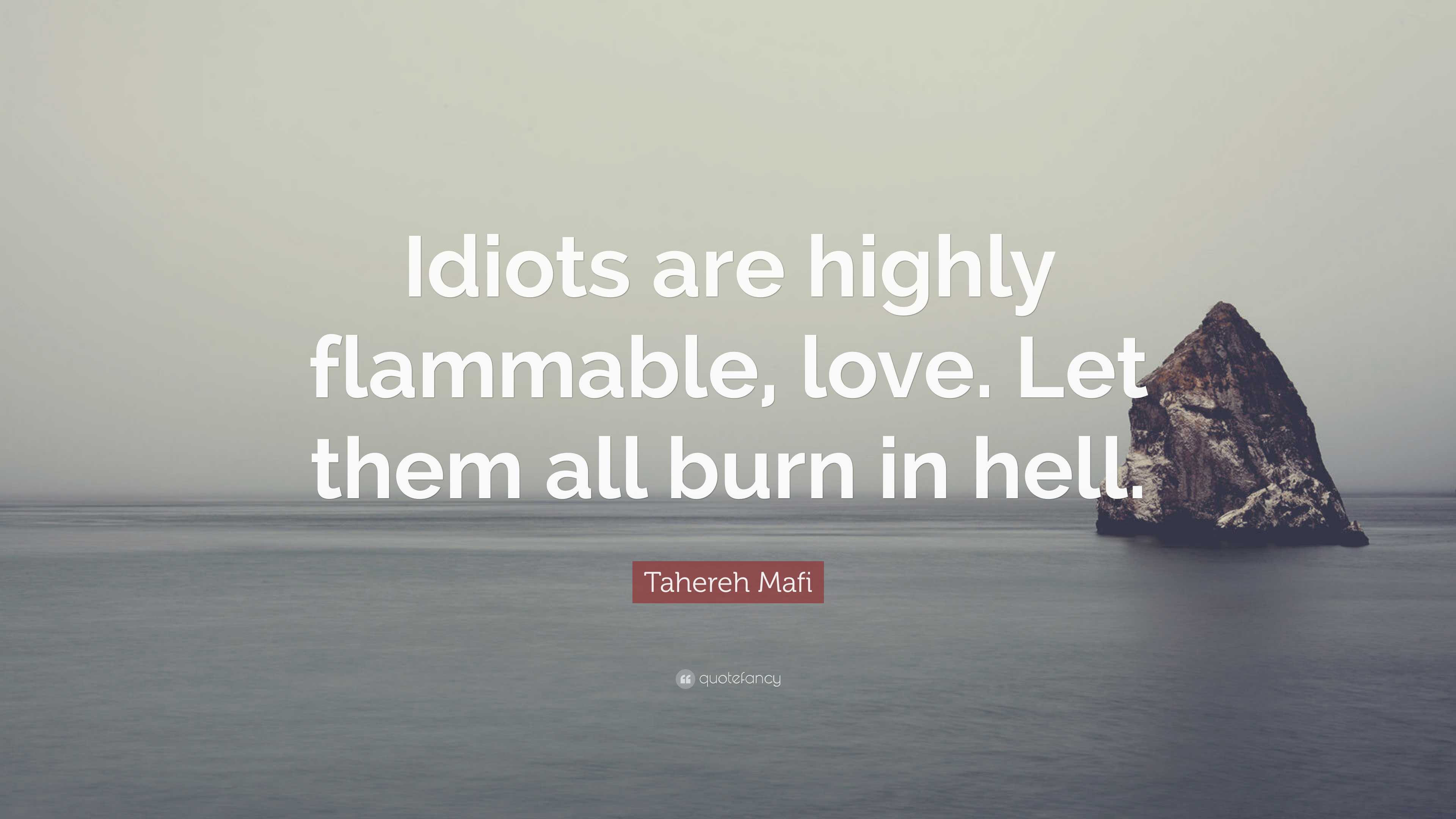 Tahereh Mafi Quote: “Idiots are highly flammable, love. Let them all ...