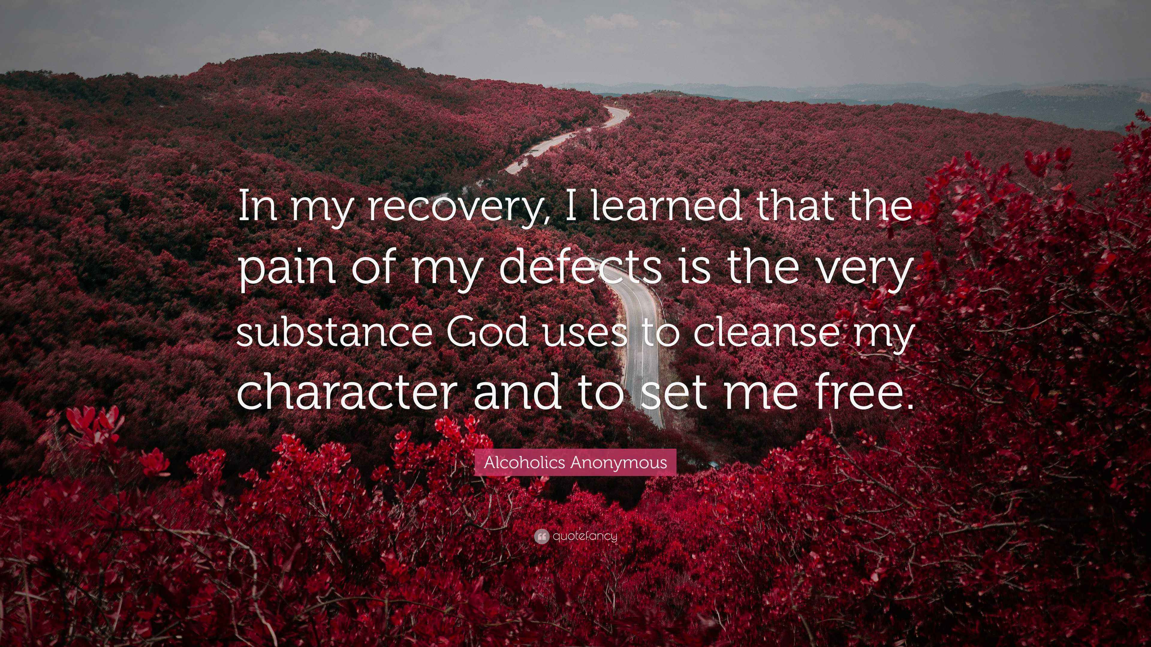 Alcoholics Anonymous Quote: “In my recovery, I learned that the pain of ...