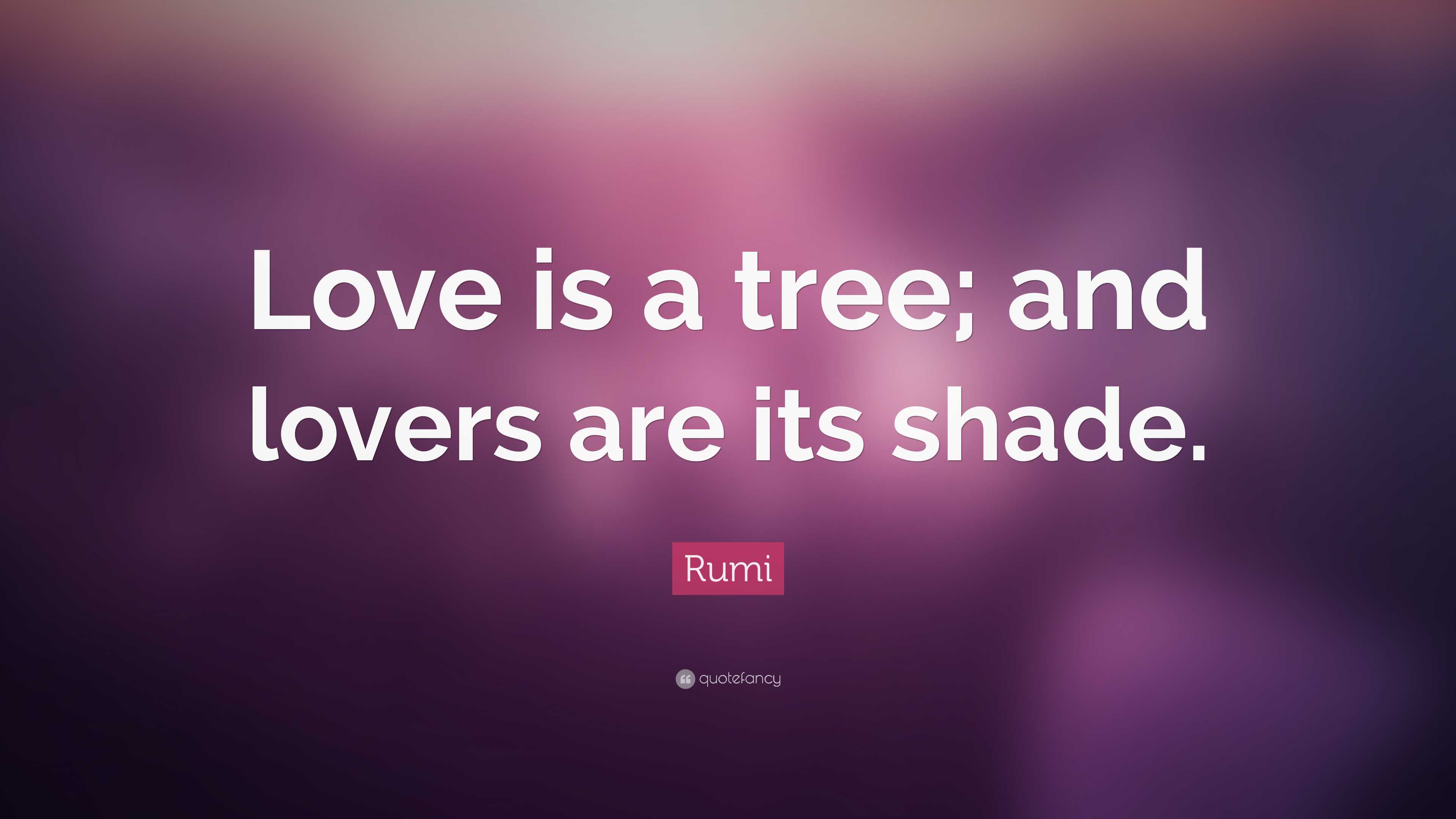 Rumi Quote: “Love is a tree; and lovers are its shade.”