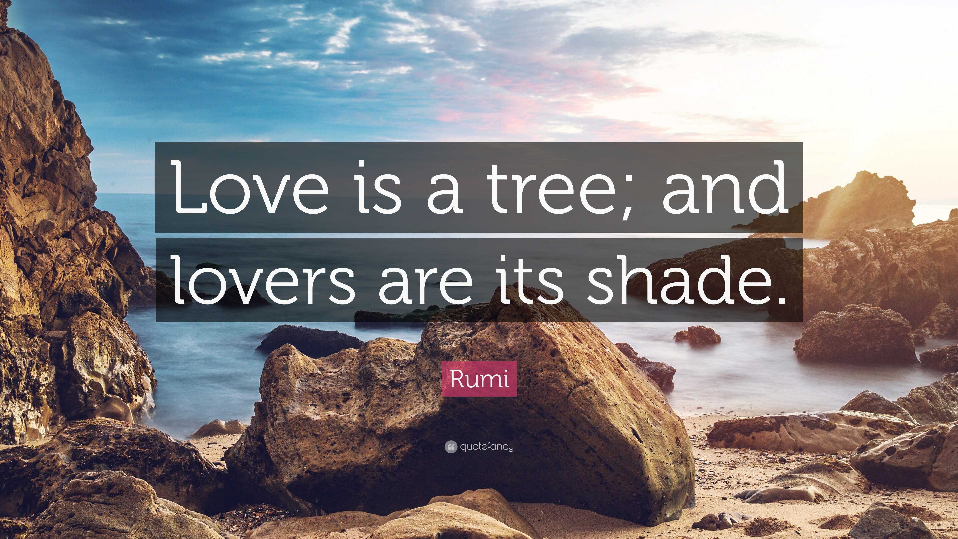Rumi Quote: “Love is a tree; and lovers are its shade.”