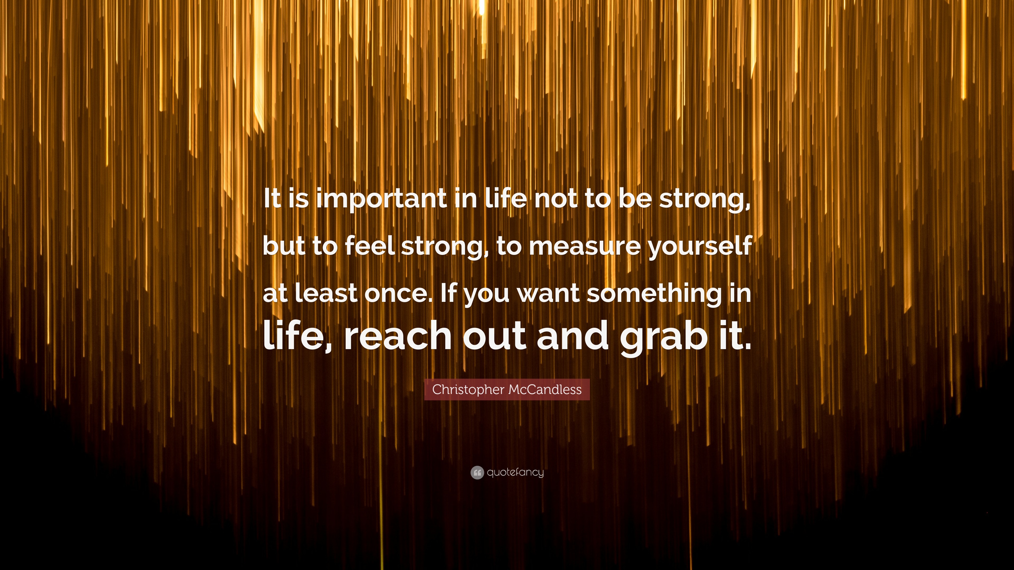Christopher McCandless Quote: “It is important in life not to be strong ...
