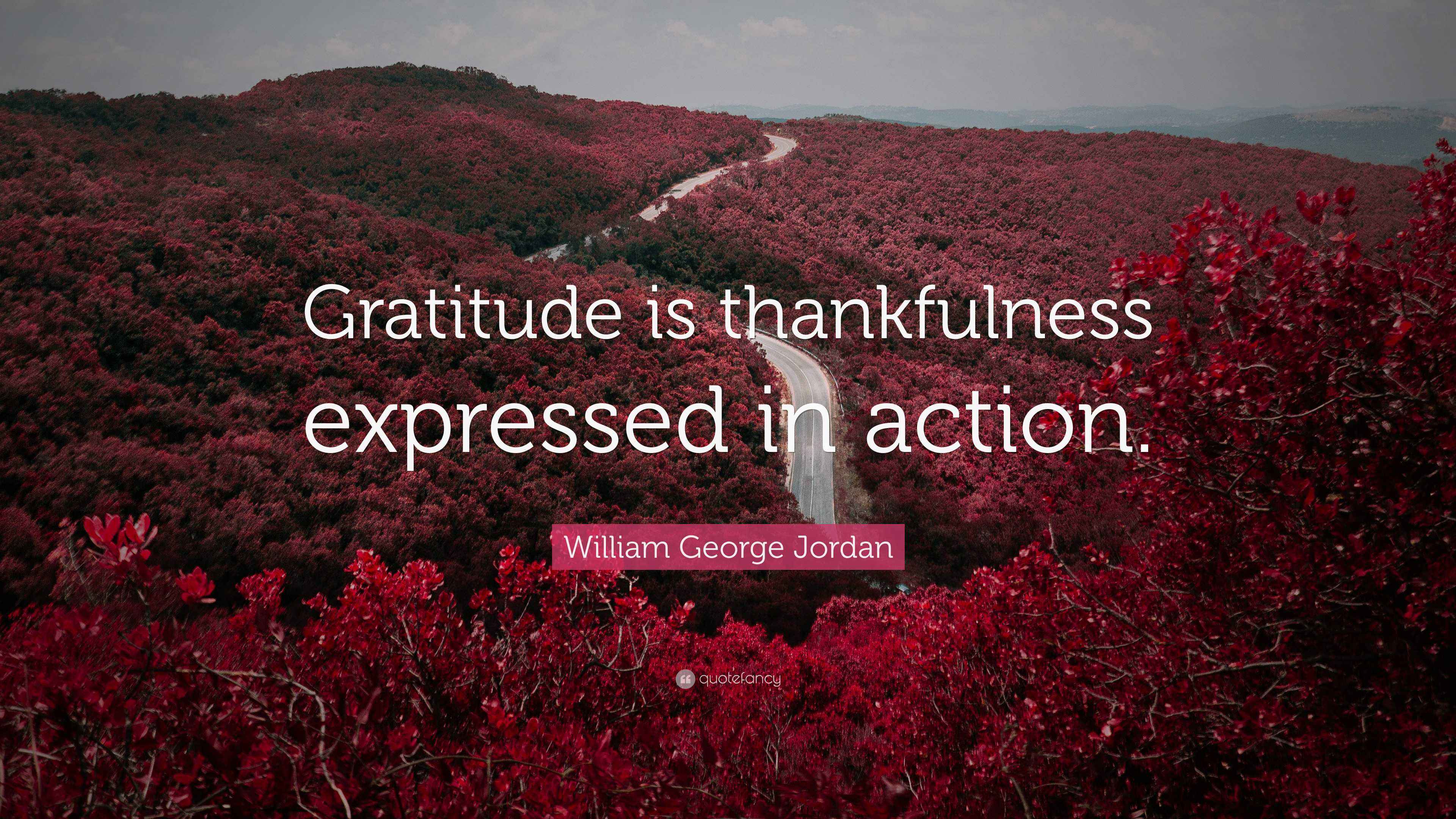 William George Jordan Quote: “Gratitude is thankfulness expressed in ...