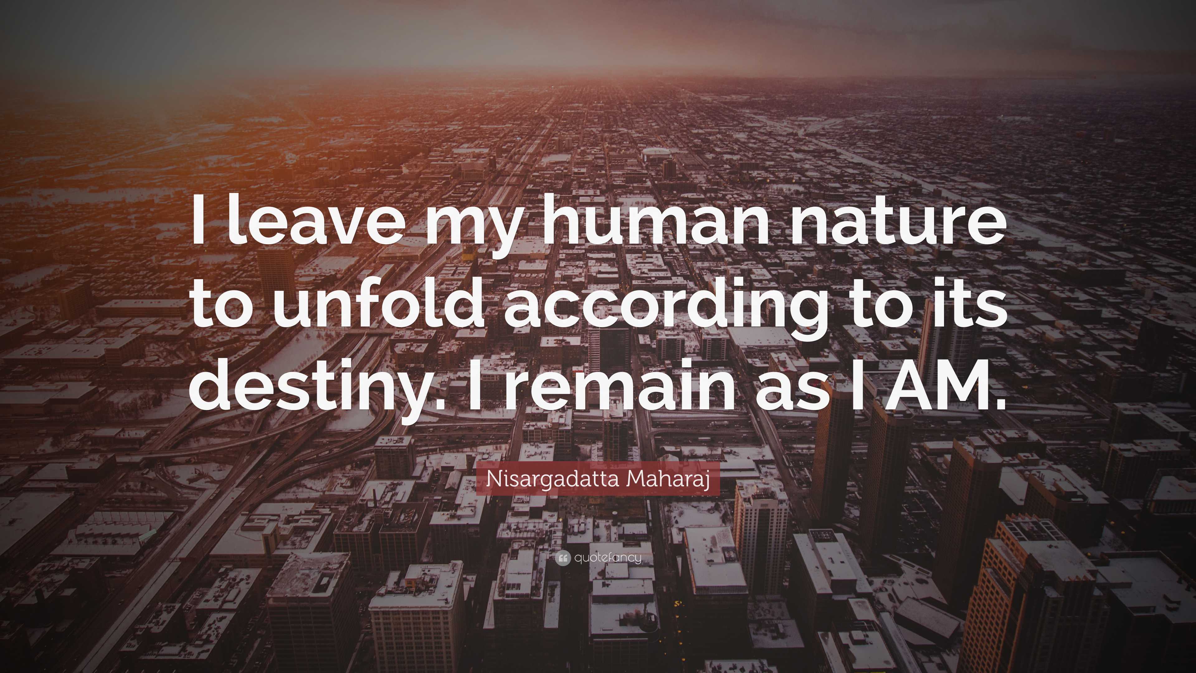 Nisargadatta Maharaj Quote: “I leave my human nature to unfold ...