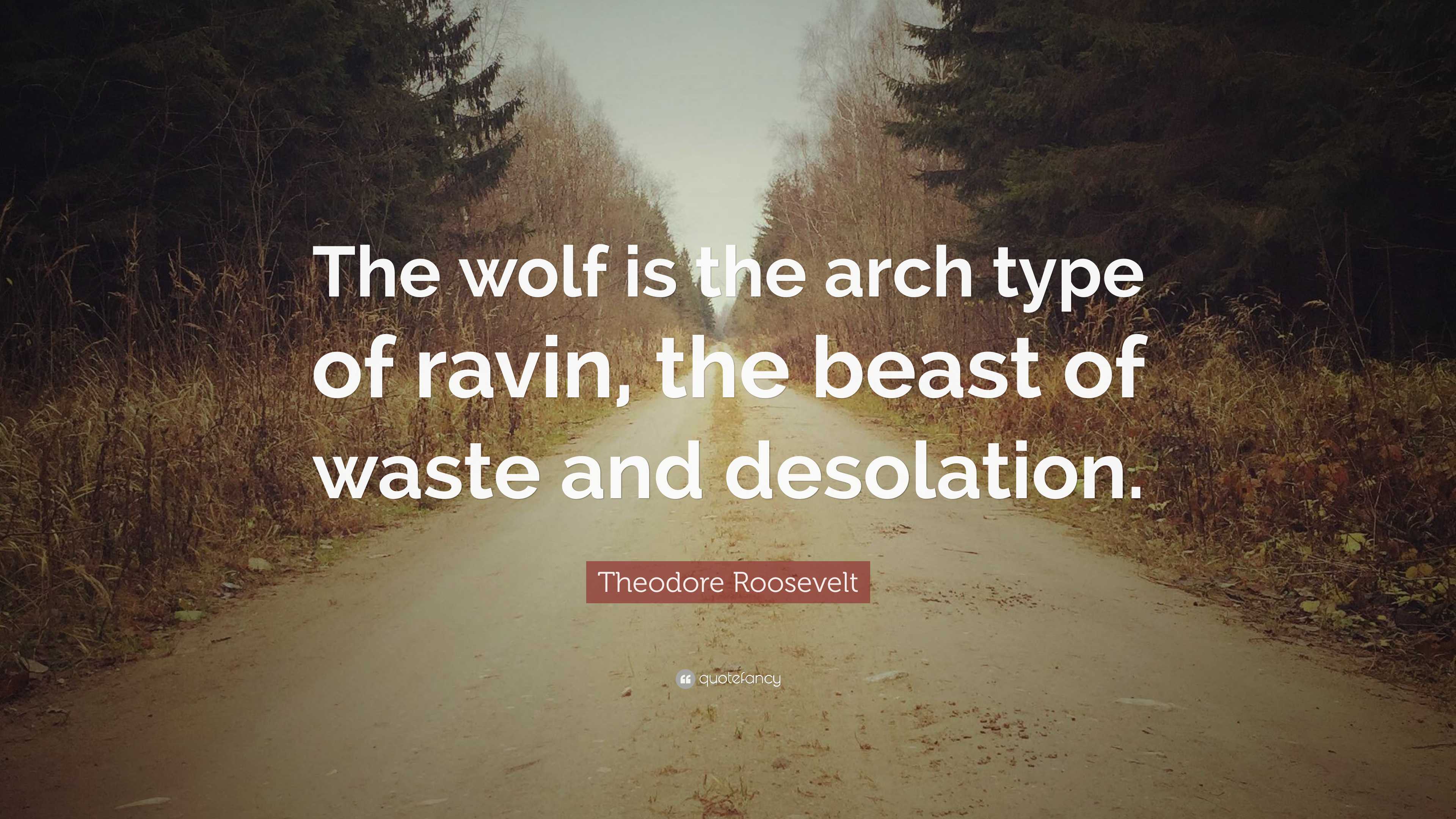 Theodore Roosevelt Quote: “The wolf is the arch type of ravin, the ...