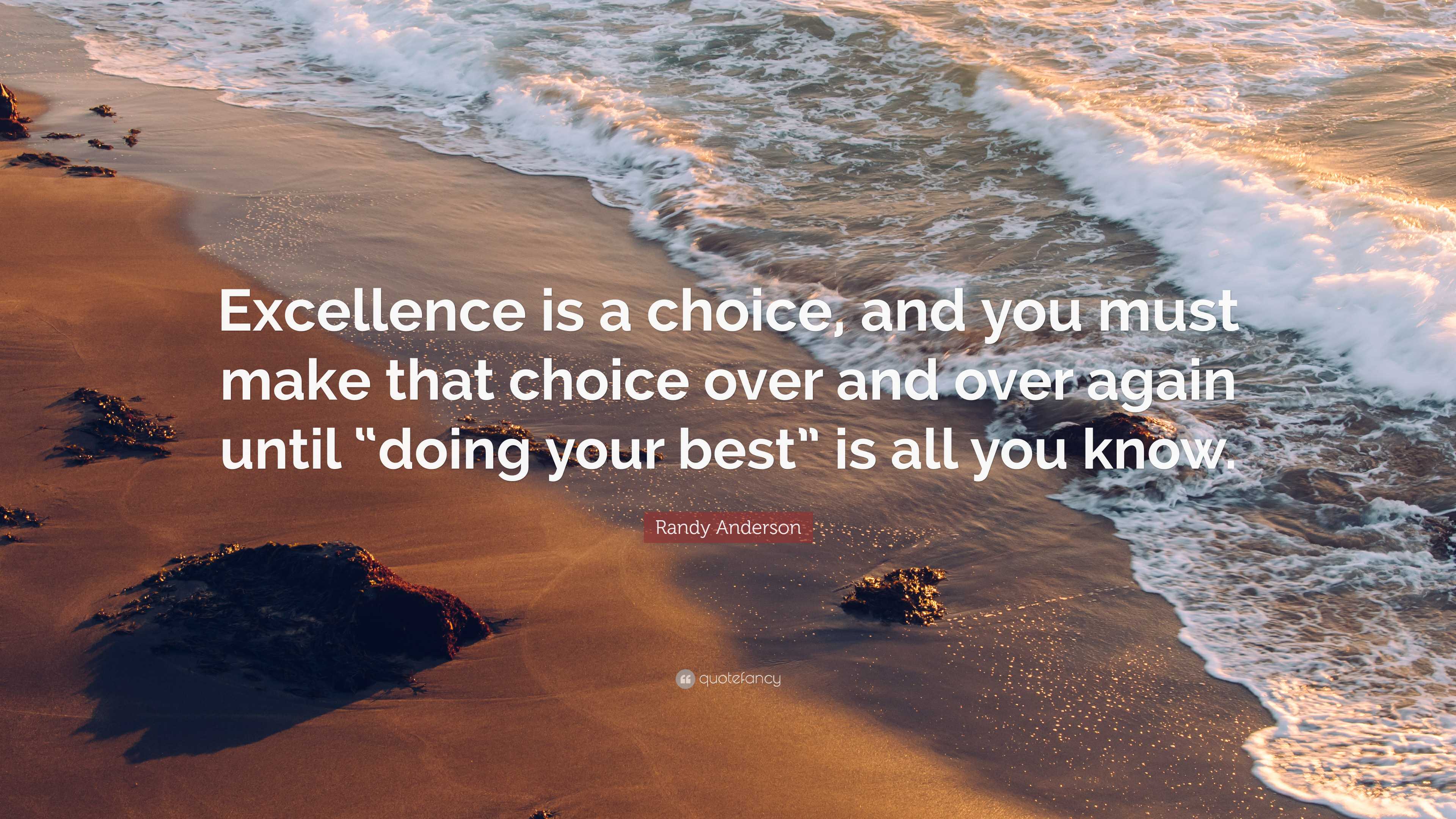 Randy Anderson Quote: “Excellence is a choice, and you must make that ...