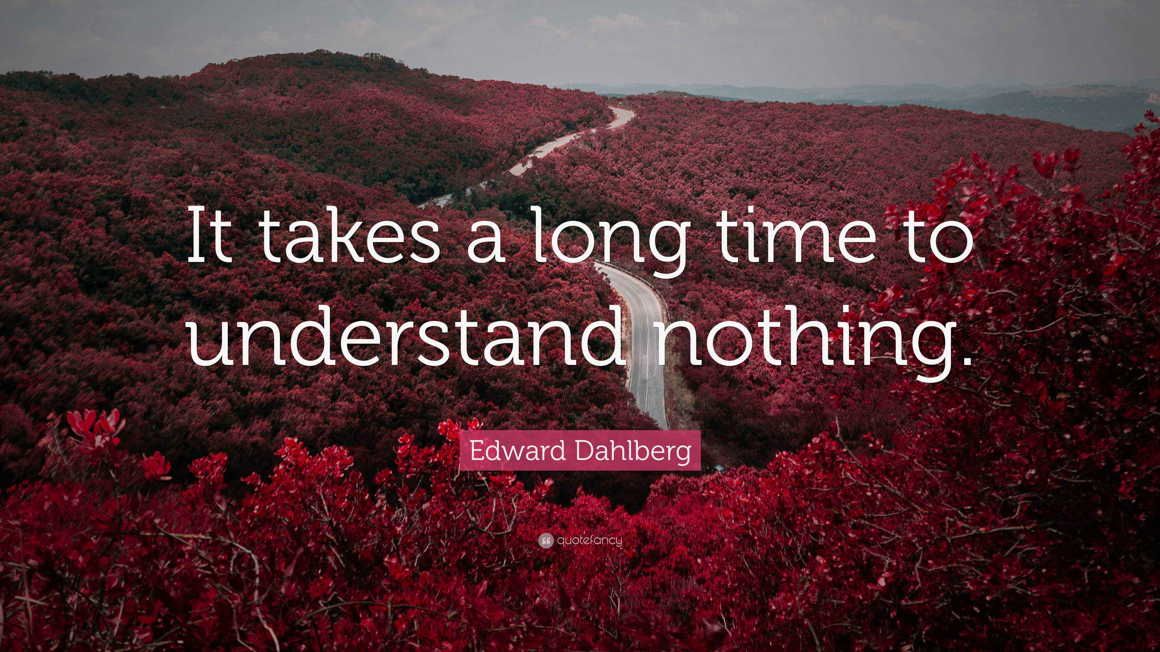 Edward Dahlberg Quote: “It takes a long time to understand nothing.”