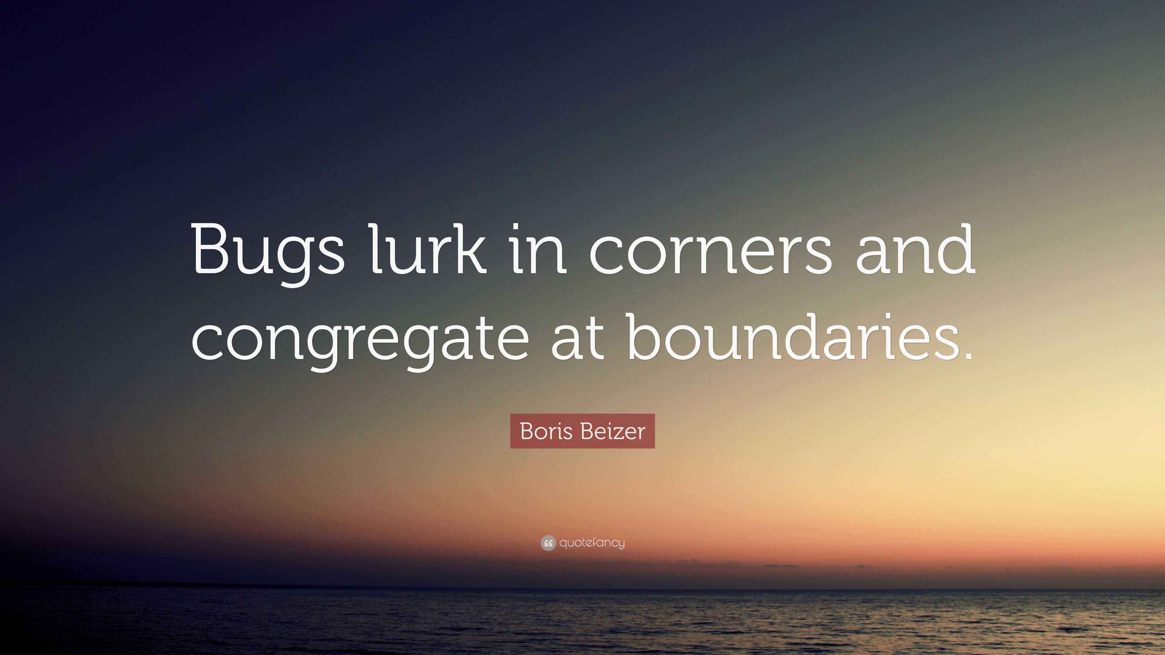 Boris Beizer Quote: “Bugs lurk in corners and congregate at boundaries.”