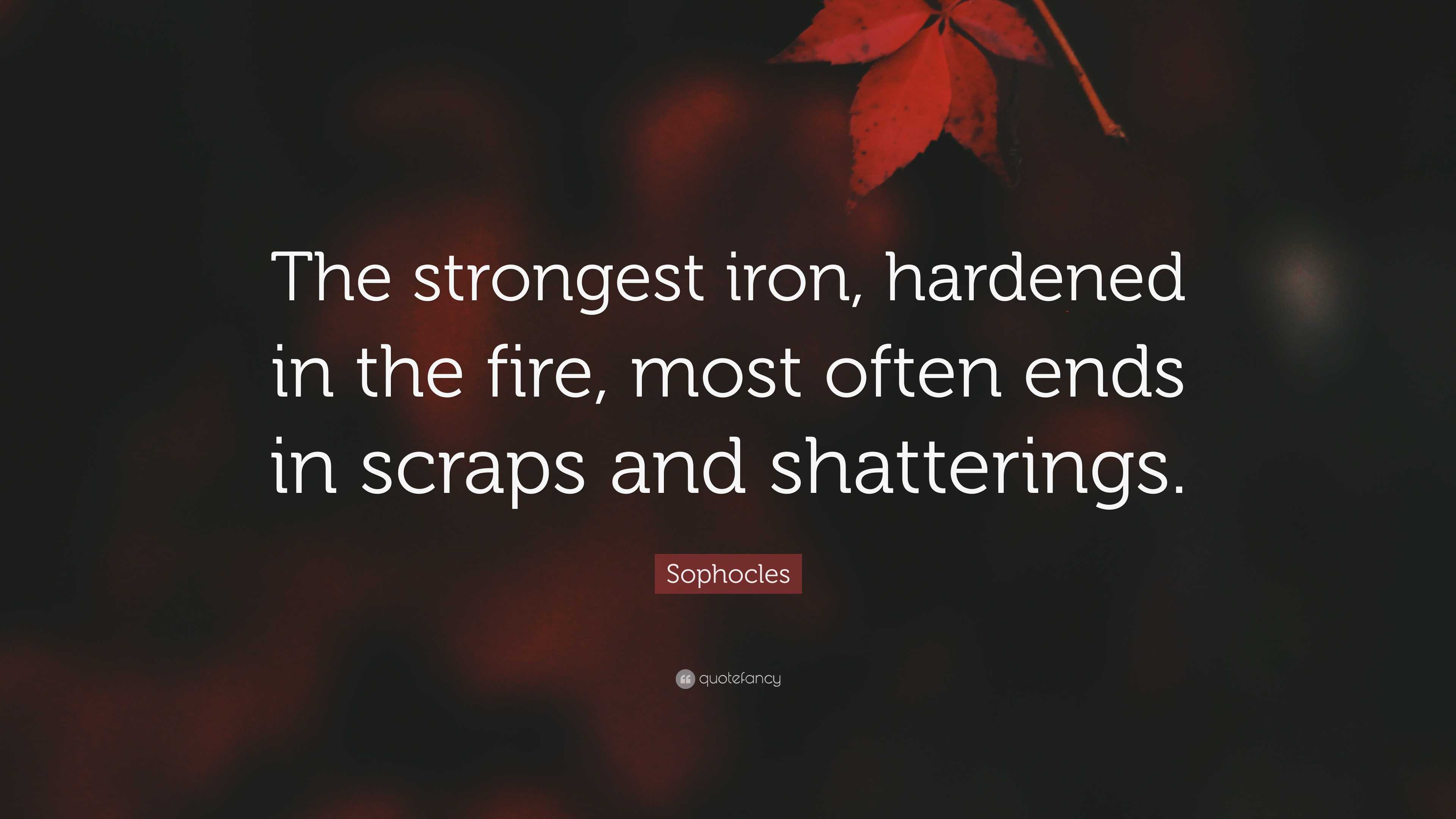 Sophocles Quote: “The strongest iron, hardened in the fire, most often ...