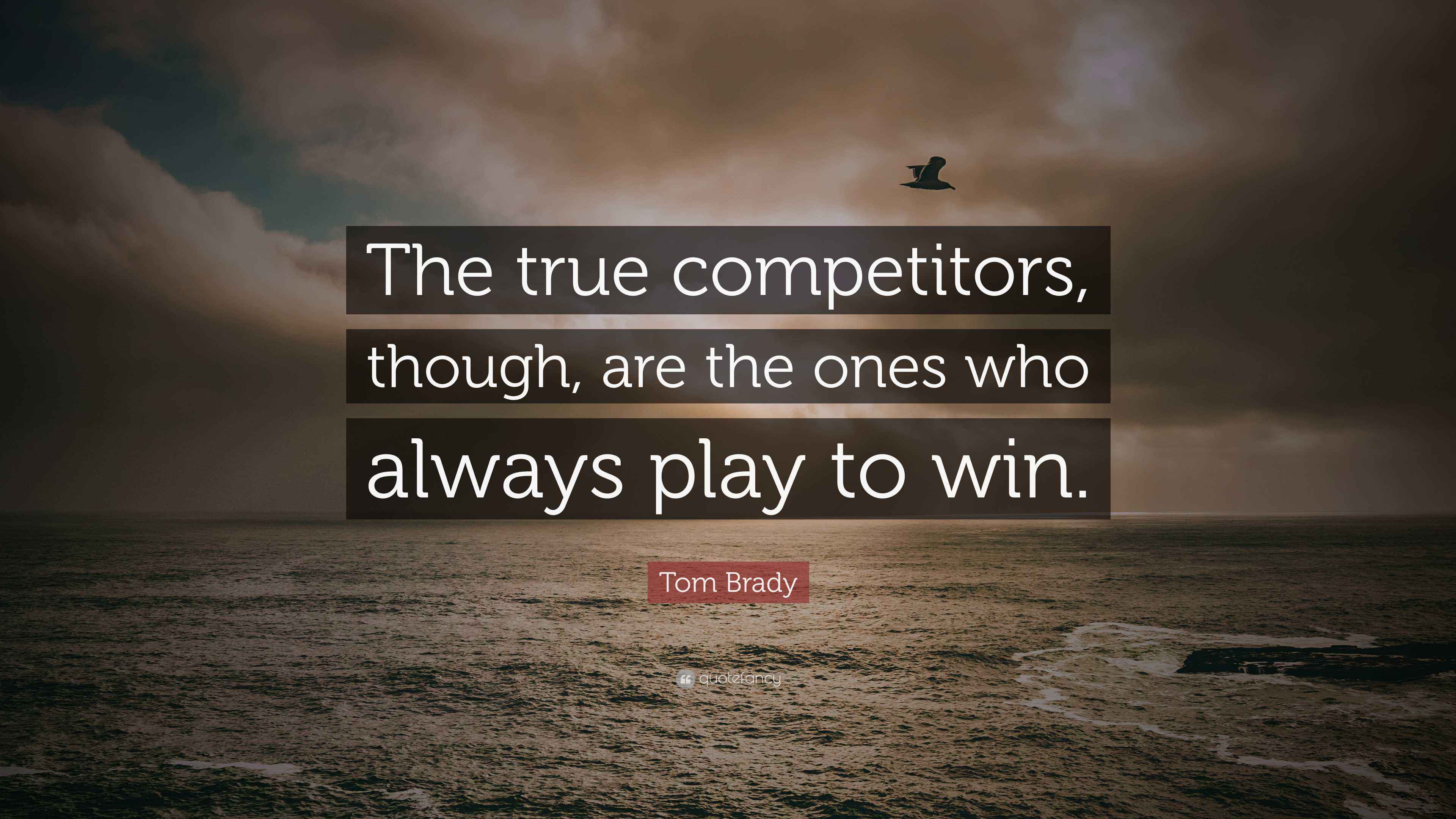 Tom Brady Quote: “The true competitors, though, are the ones who always ...