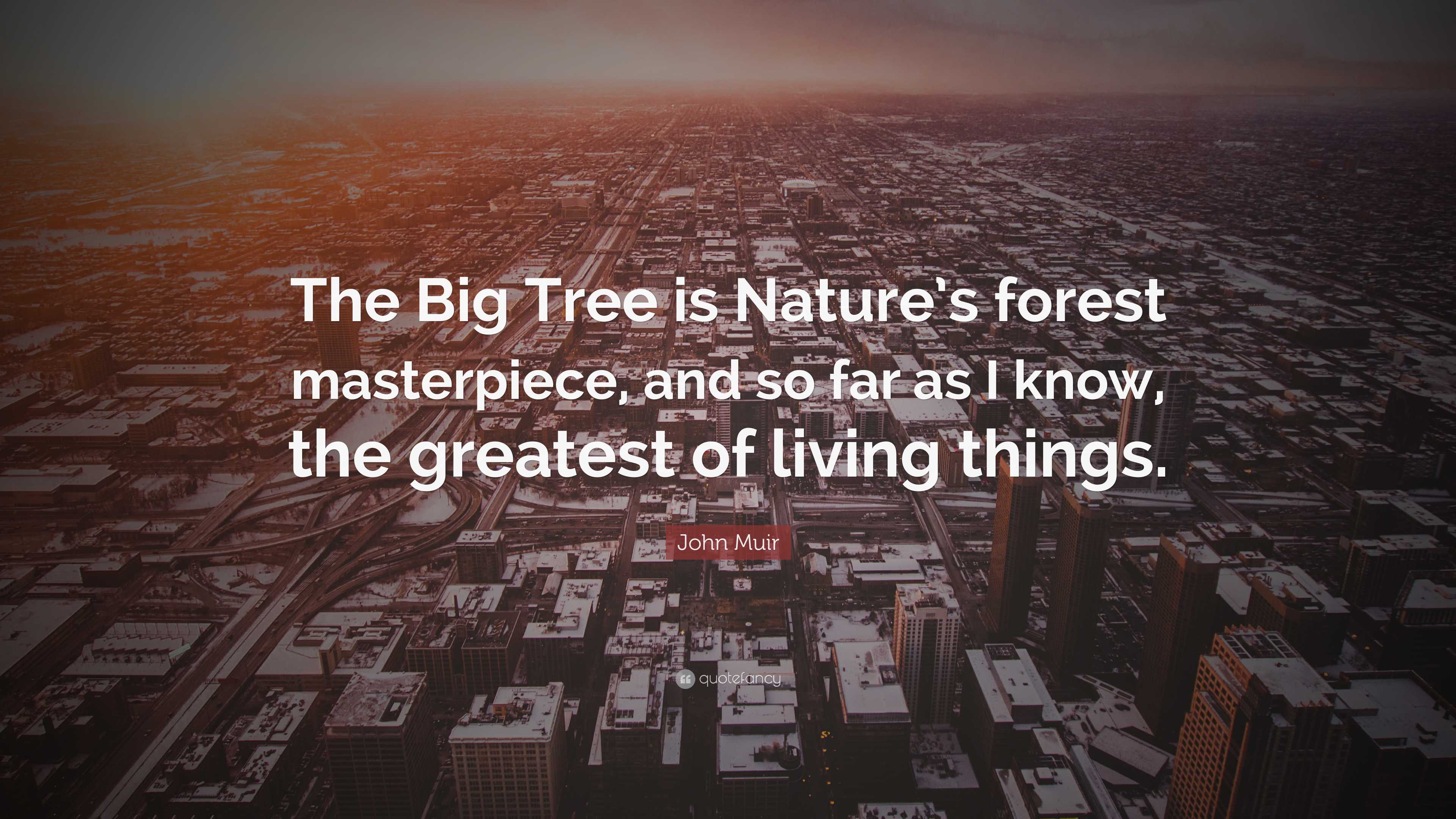 John Muir Quote: “The Big Tree is Nature’s forest masterpiece, and so ...
