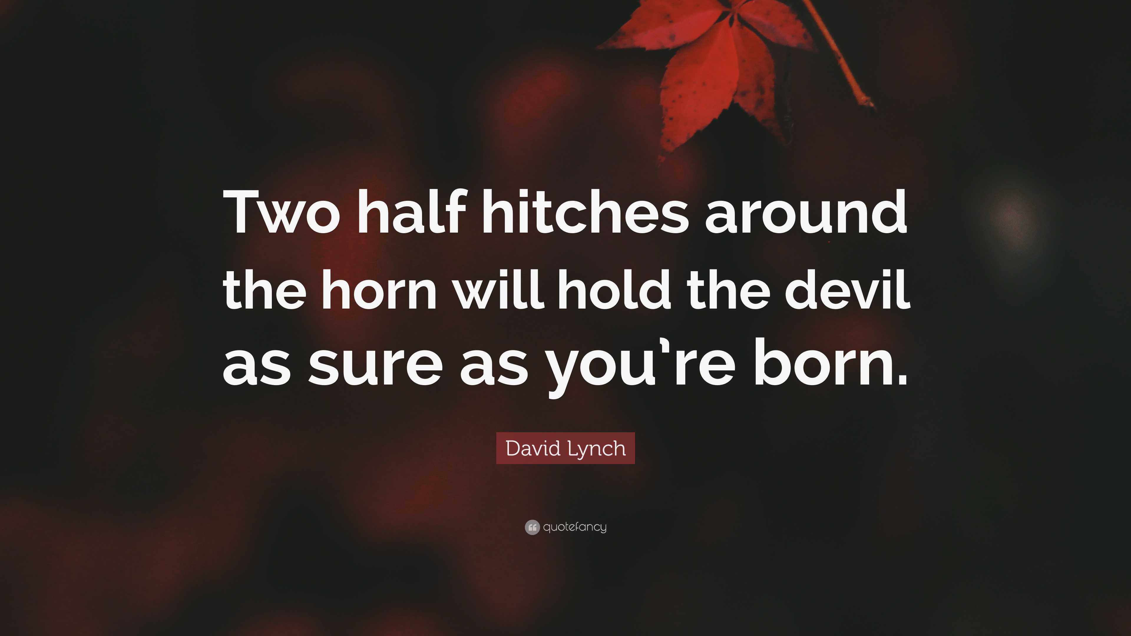 David Lynch Quote: “Two half hitches around the horn will hold the ...