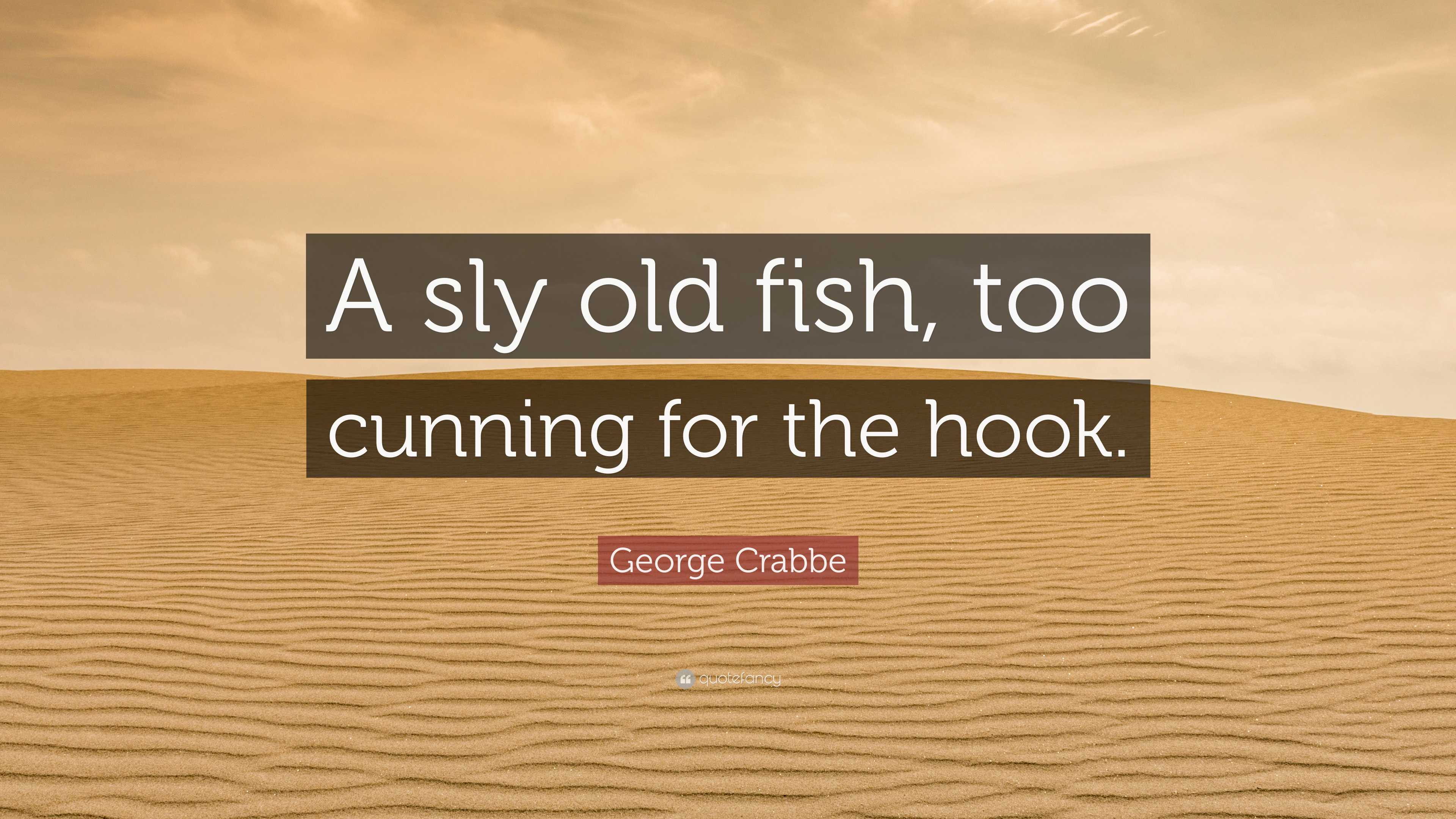 George Crabbe Quote: “A sly old fish, too cunning for the hook.”