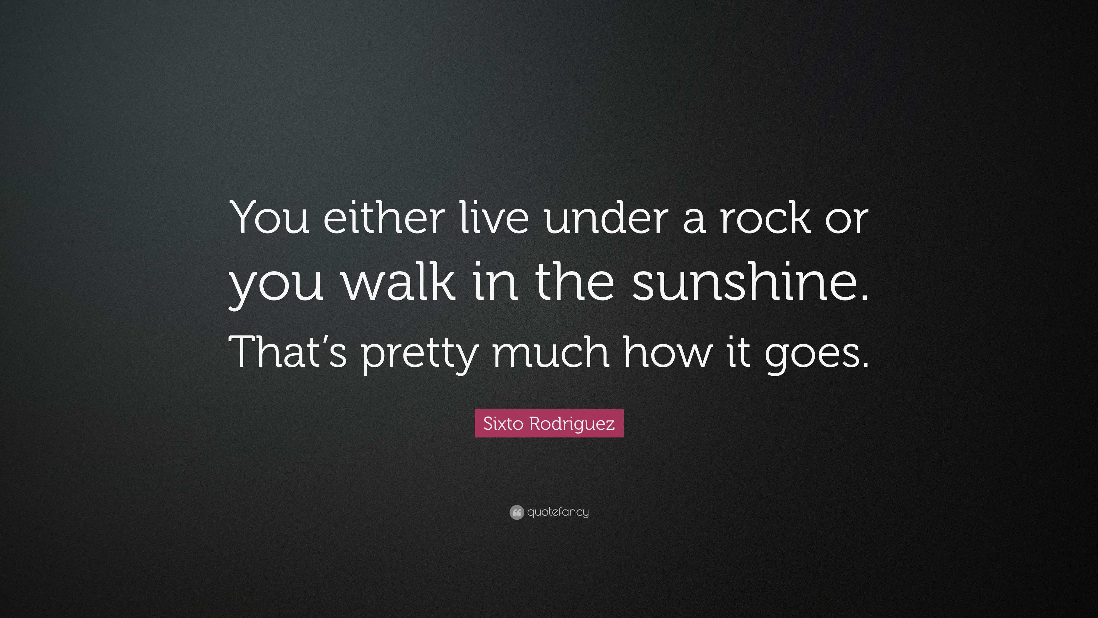 Sixto Rodriguez Quote: “You either live under a rock or you walk in the ...