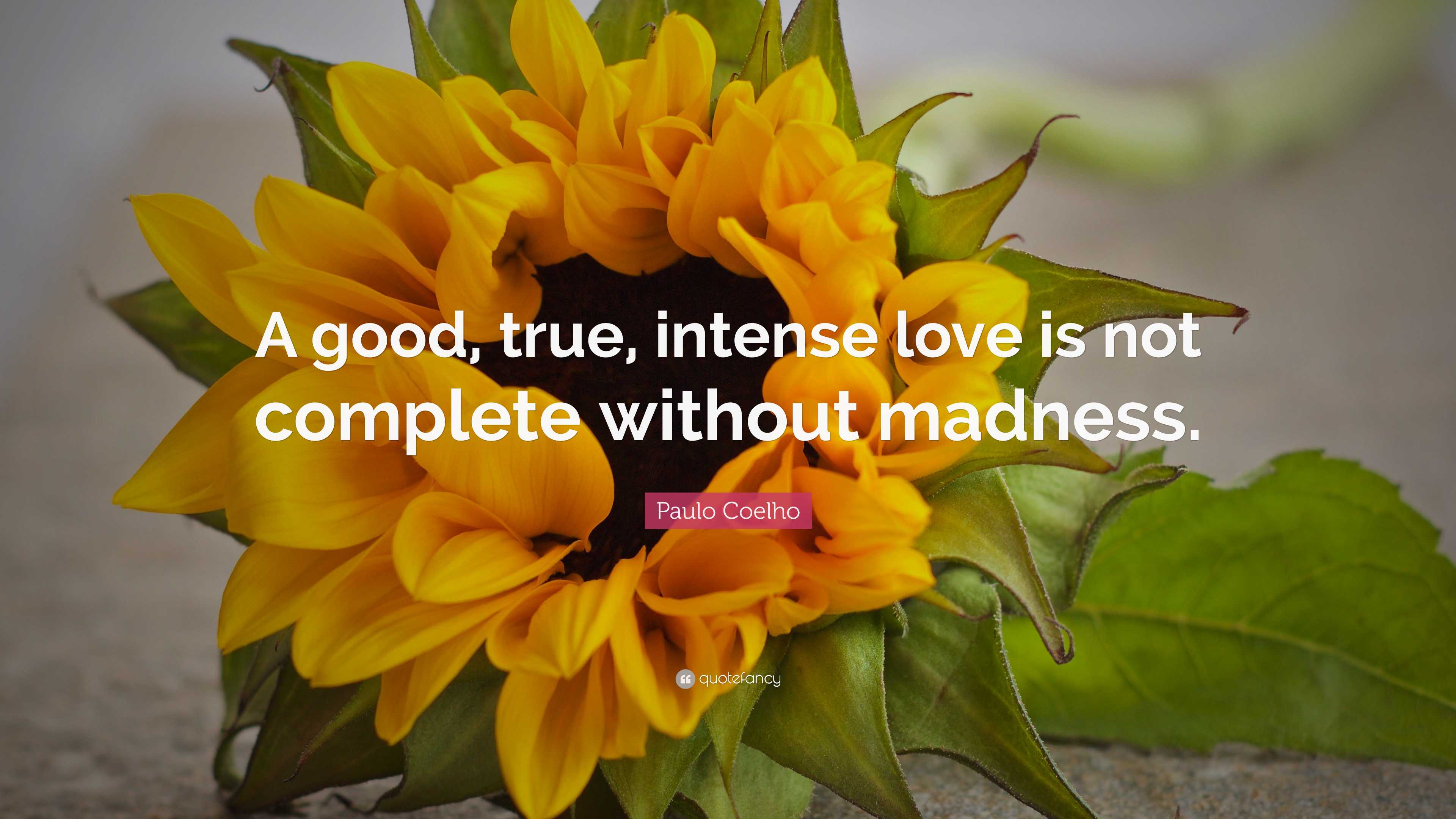 Paulo Coelho Quote: “A good, true, intense love is not complete without ...