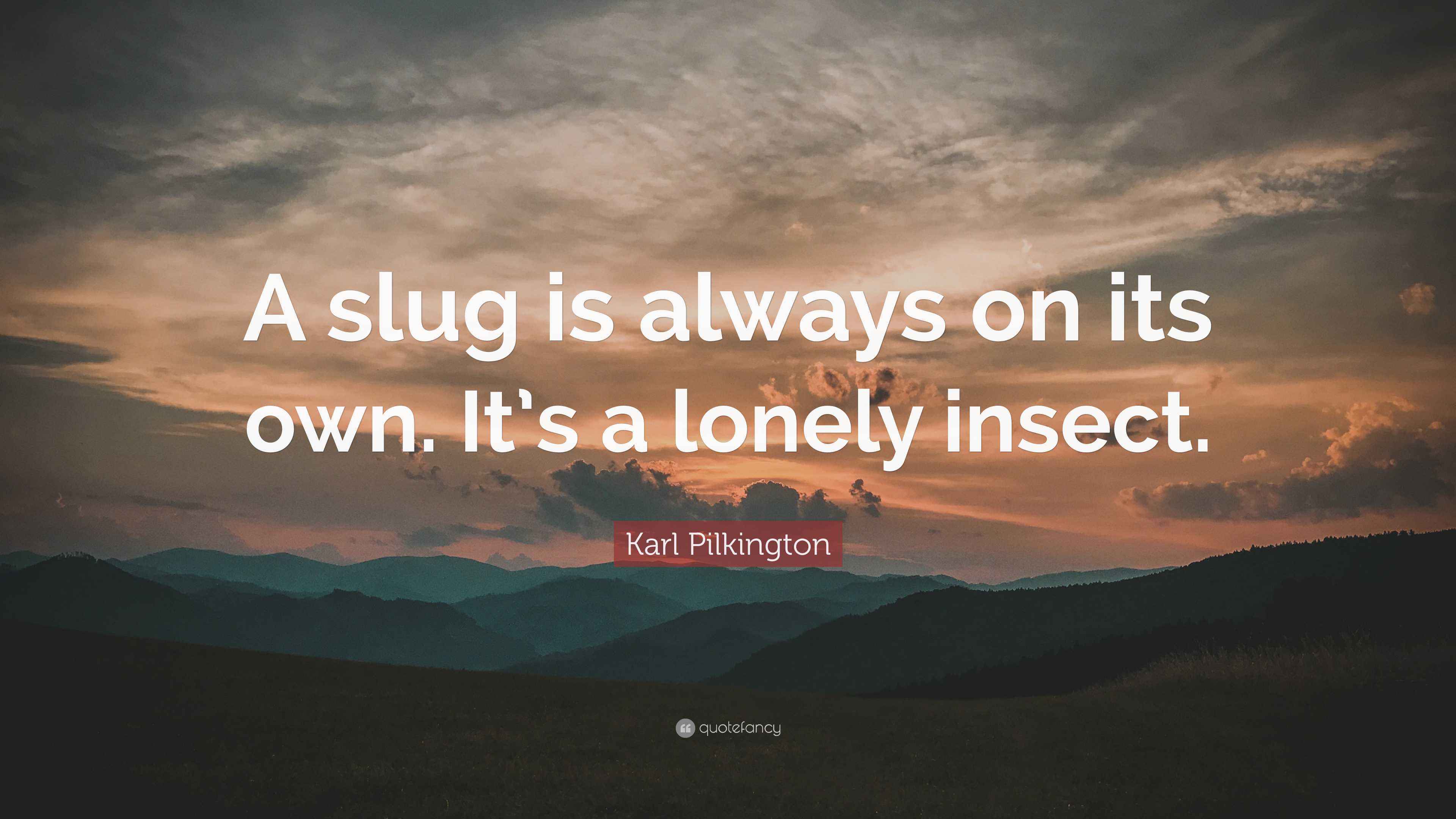 Karl Pilkington Quote: “A slug is always on its own. It’s a lonely insect.”