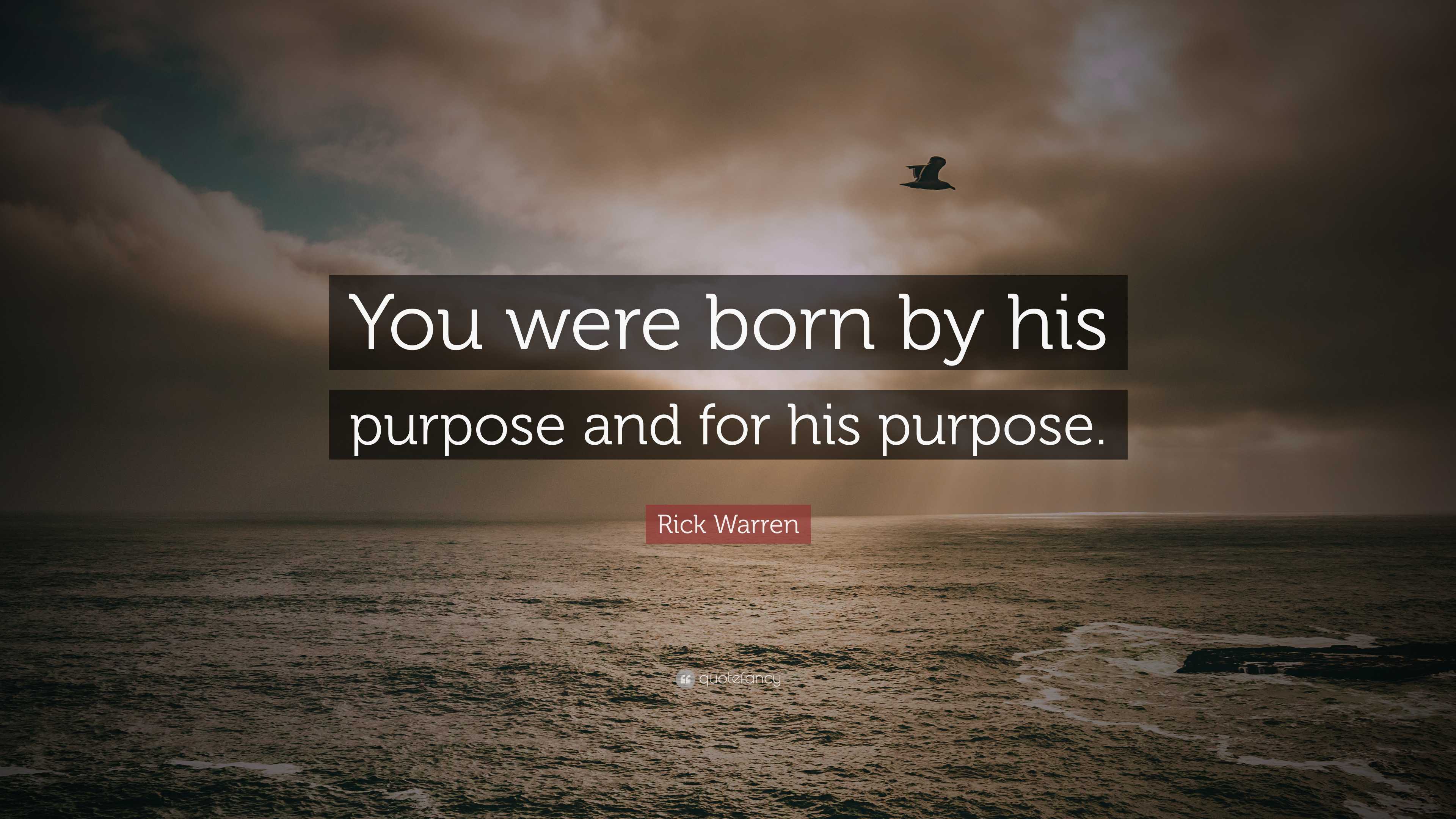 Rick Warren Quote: “You were born by his purpose and for his purpose.”