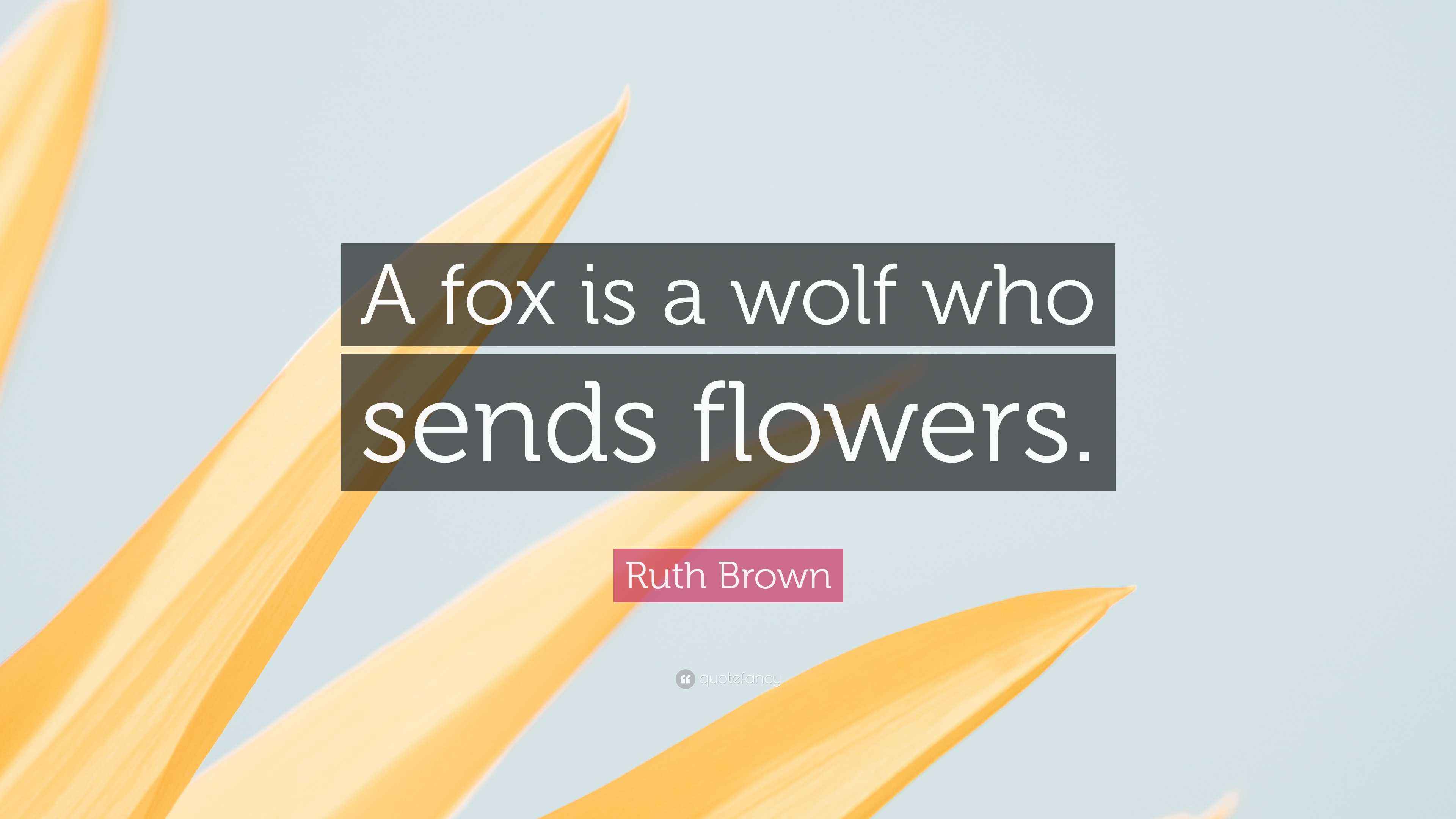 Ruth Brown Quote: “A fox is a wolf who sends flowers.”