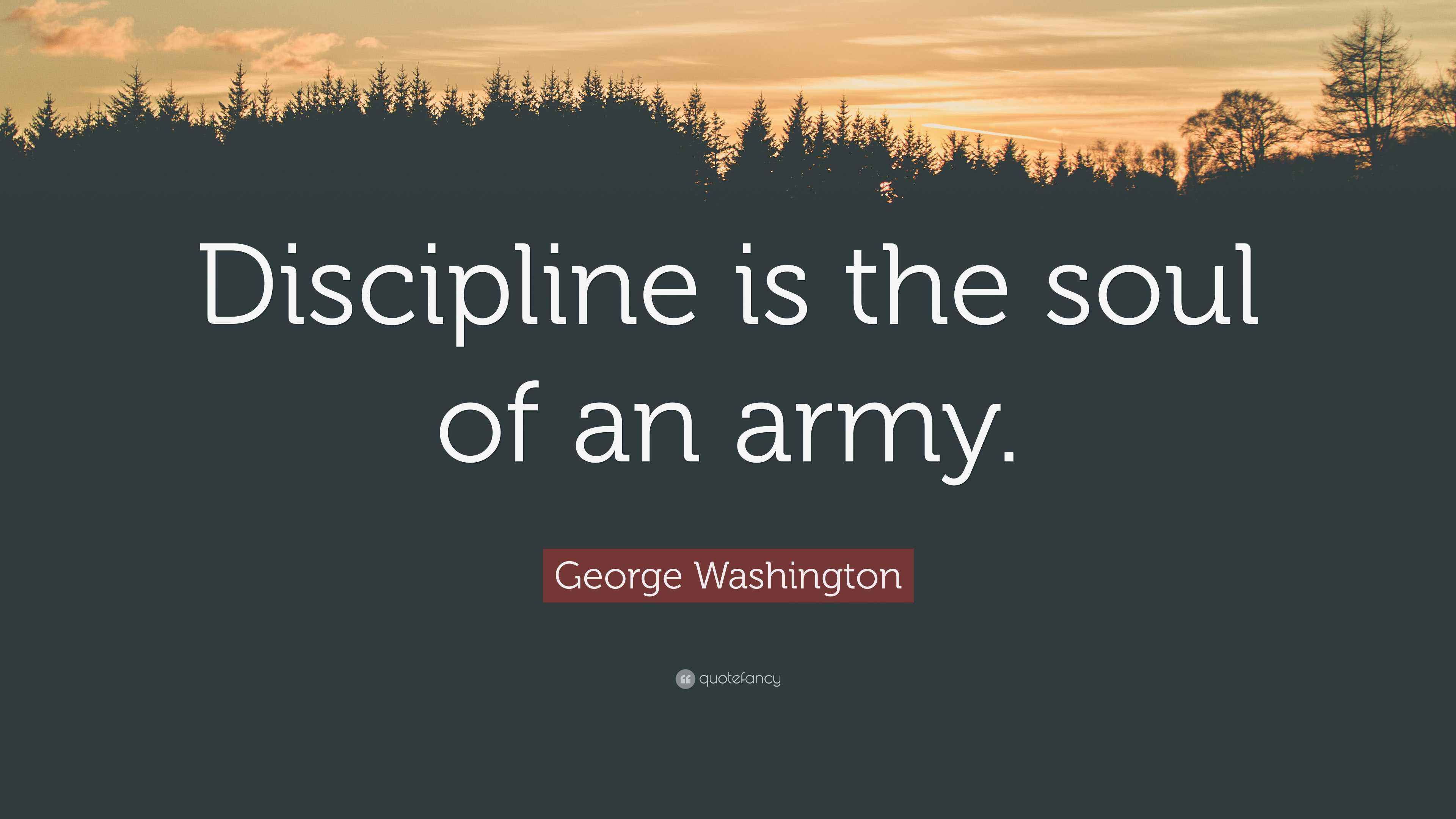 George Washington Quote: “Discipline is the soul of an army.”