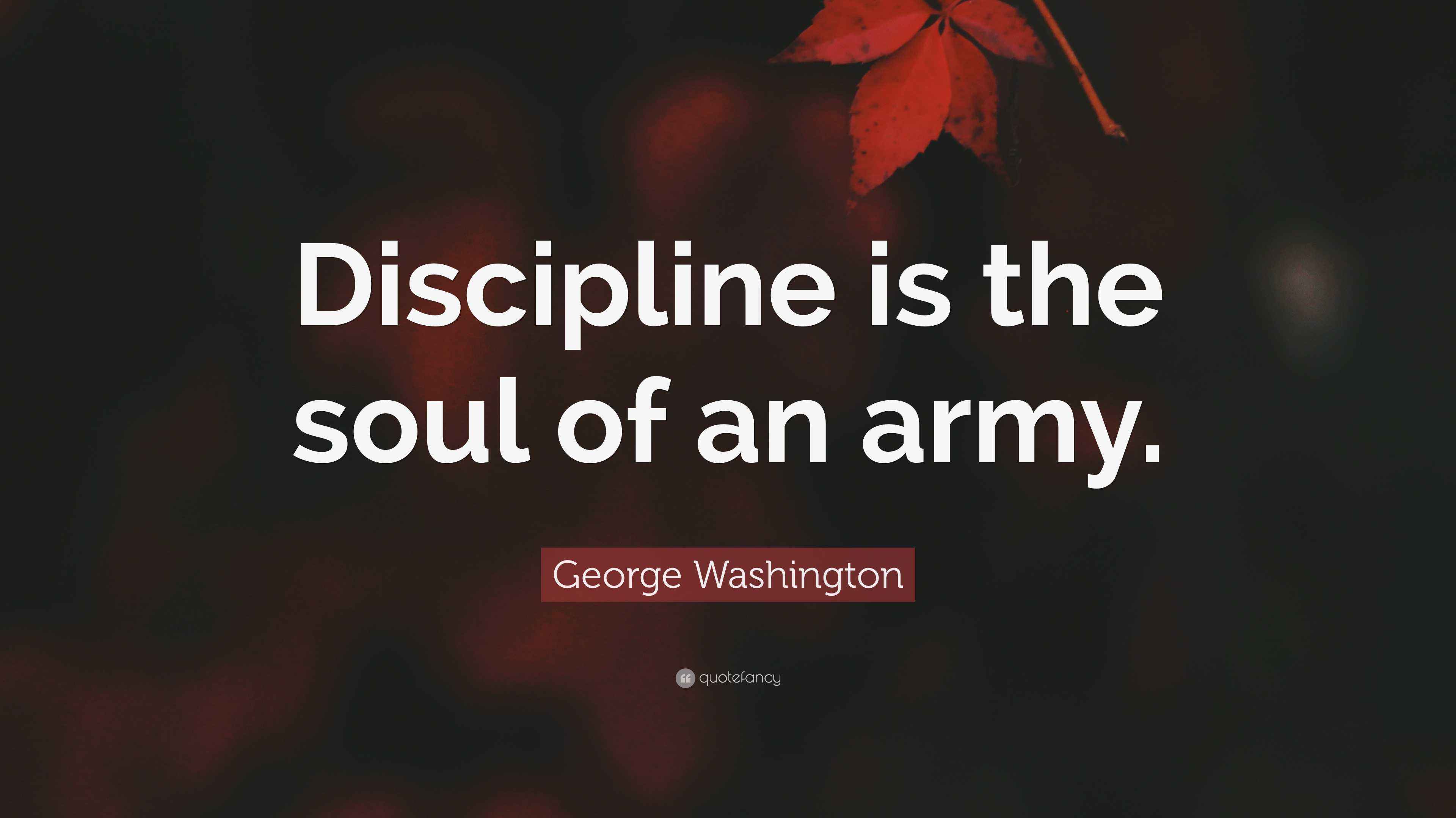 George Washington Quote: “Discipline is the soul of an army.”