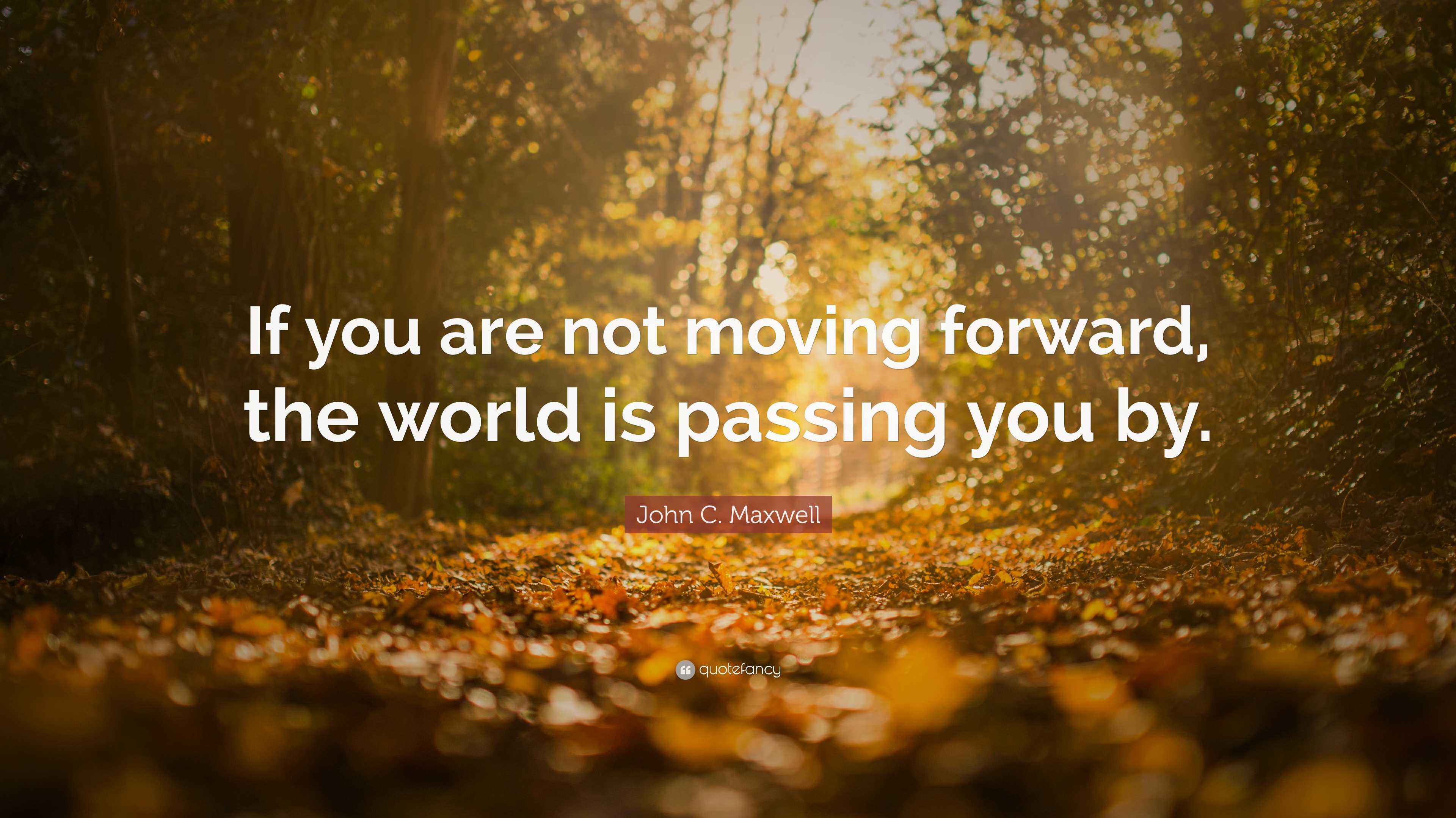 John C. Maxwell Quote: “If you are not moving forward, the world is ...