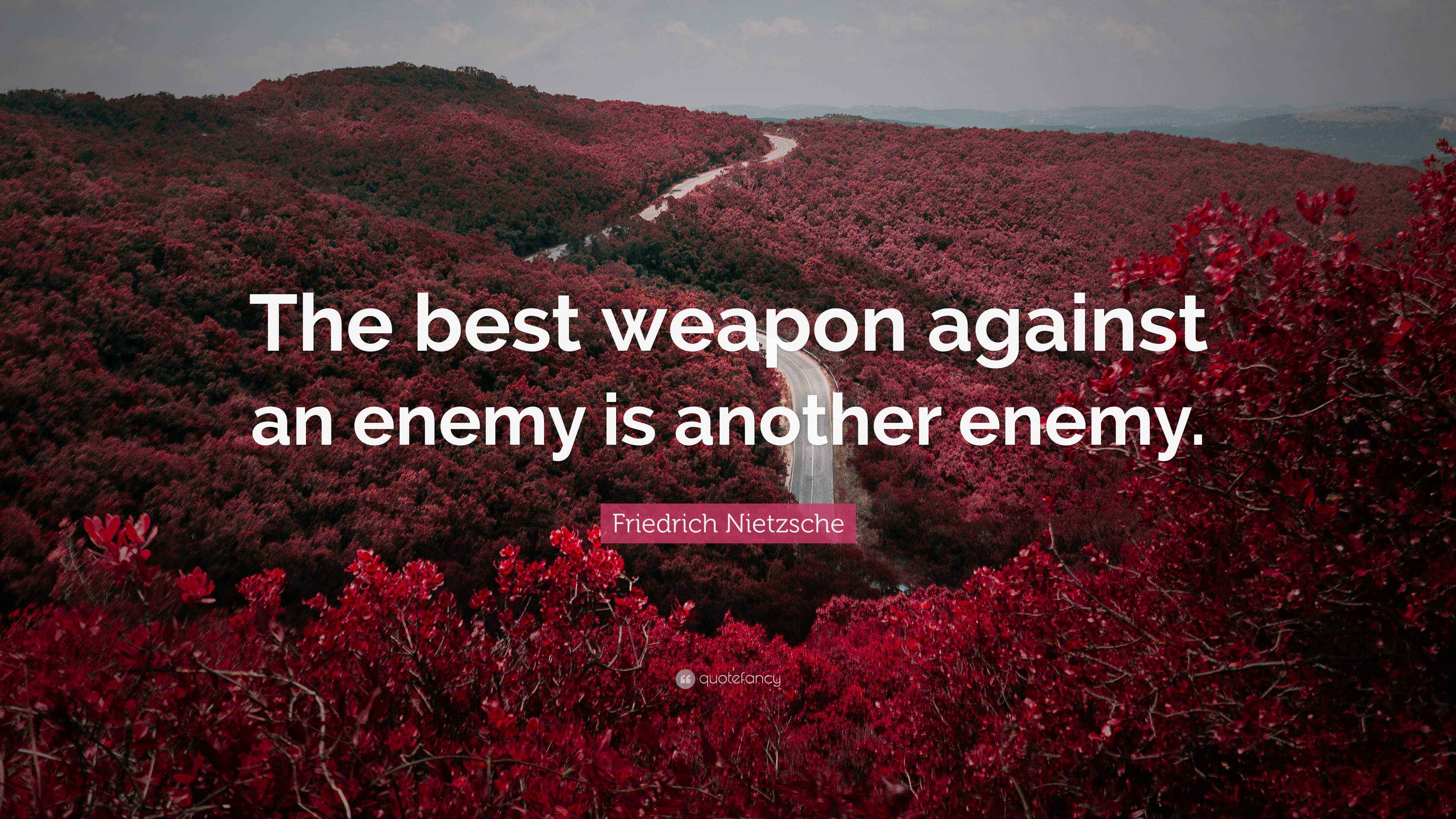 Friedrich Nietzsche Quote: “The best weapon against an enemy is another ...