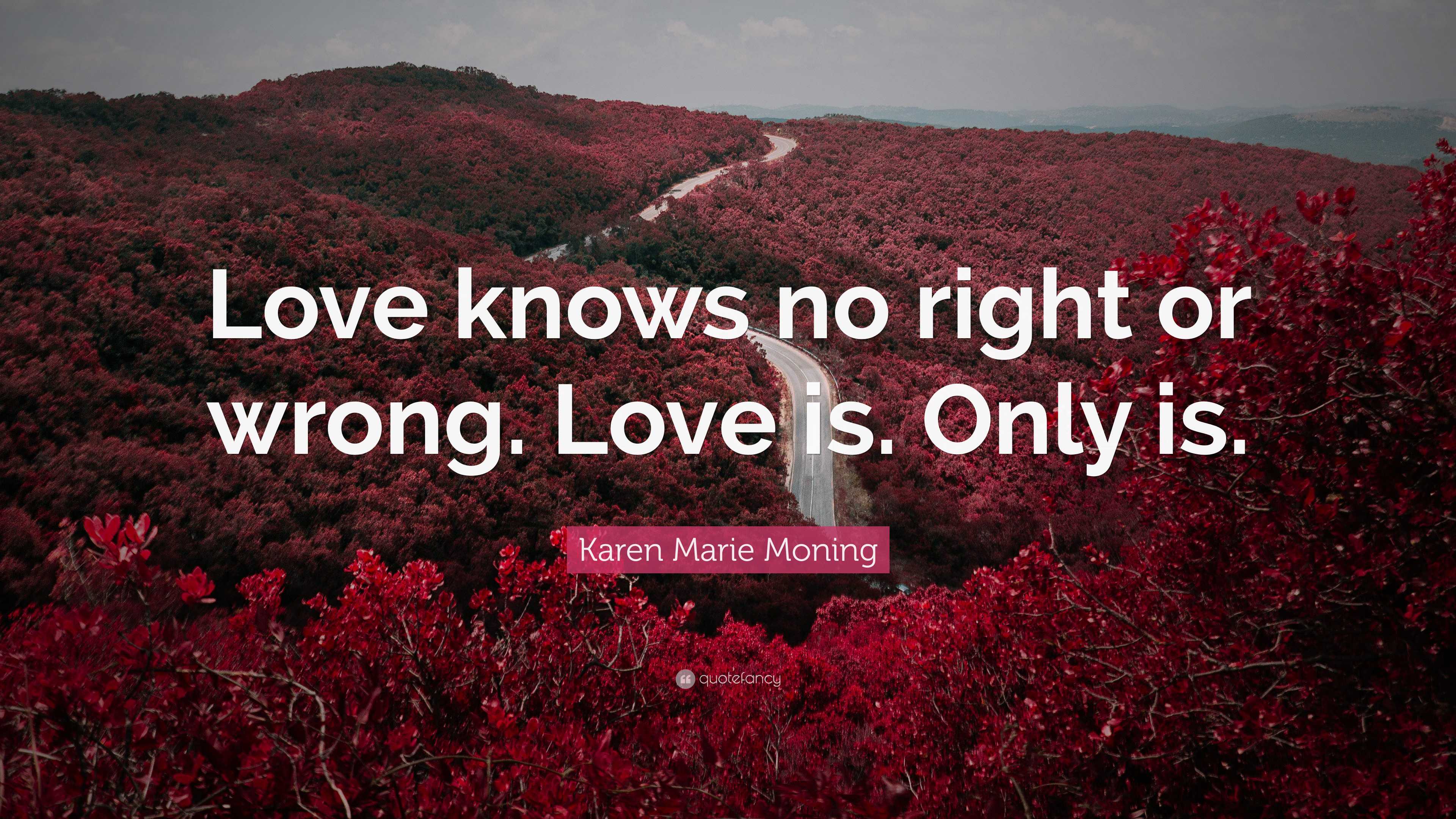 Karen Marie Moning Quote: “Love knows no right or wrong. Love is. Only is.”
