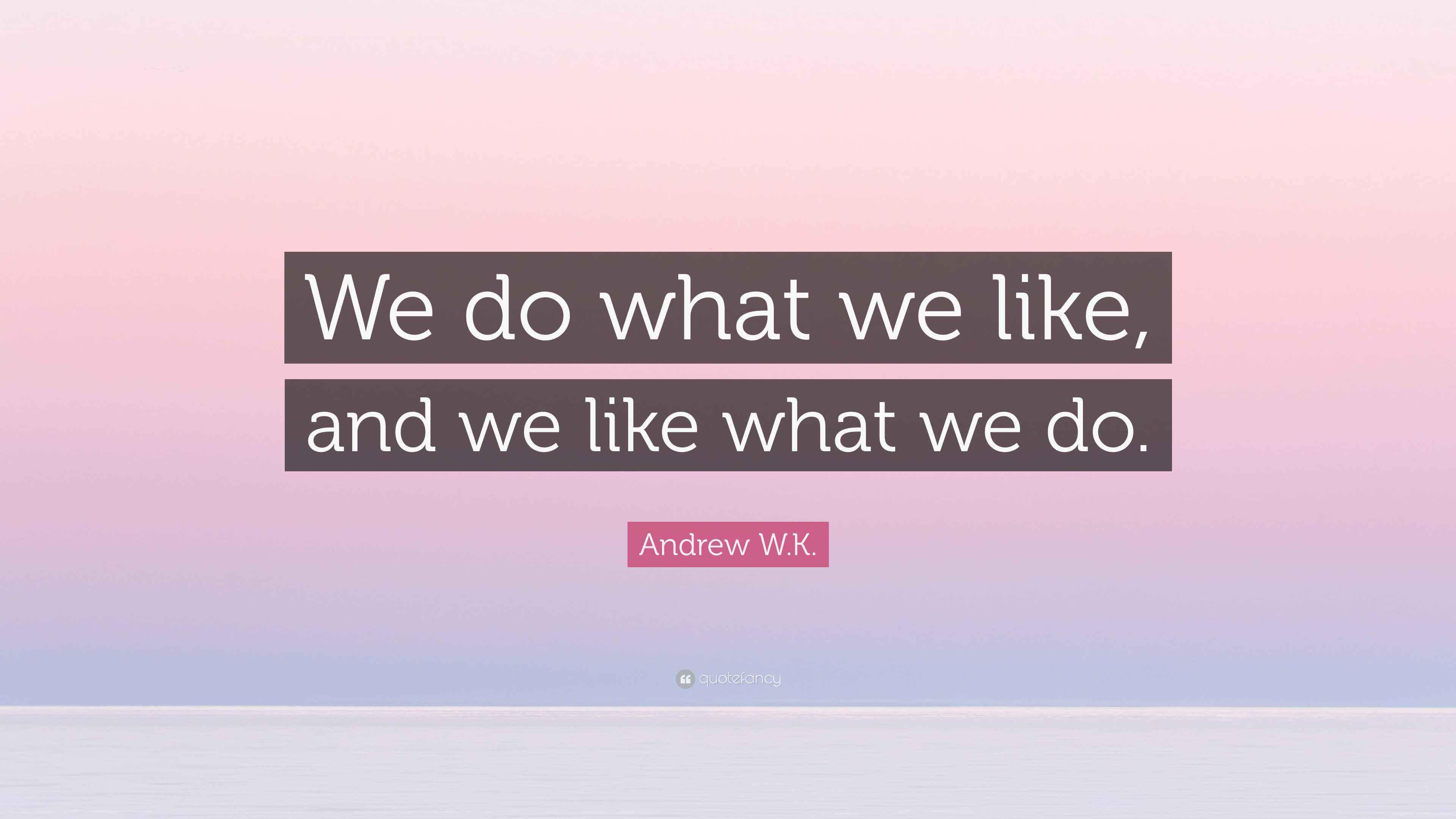Andrew W.K. Quote: “We do what we like, and we like what we do.”