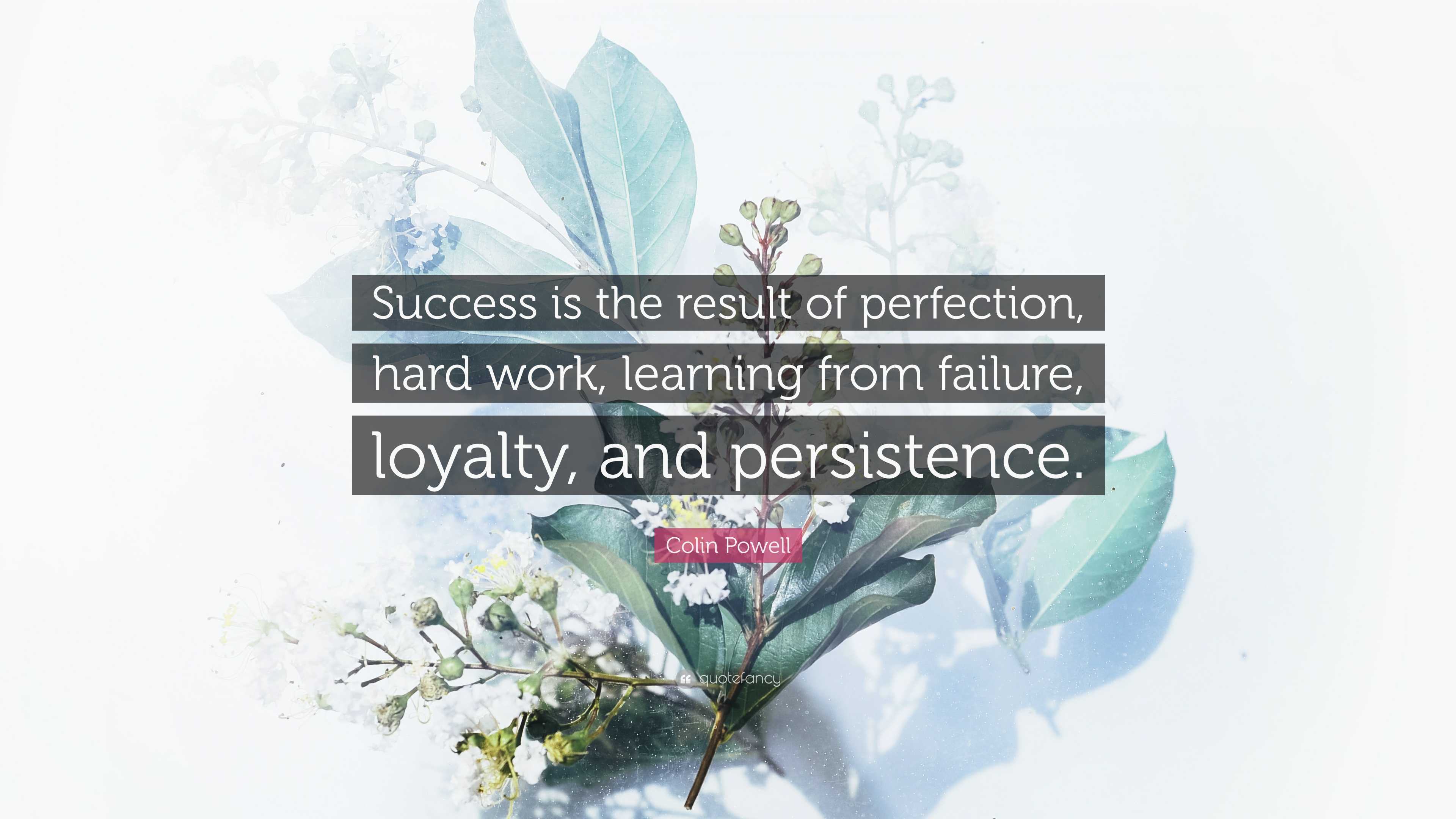 Colin Powell Quote: “Success is the result of perfection, hard work ...