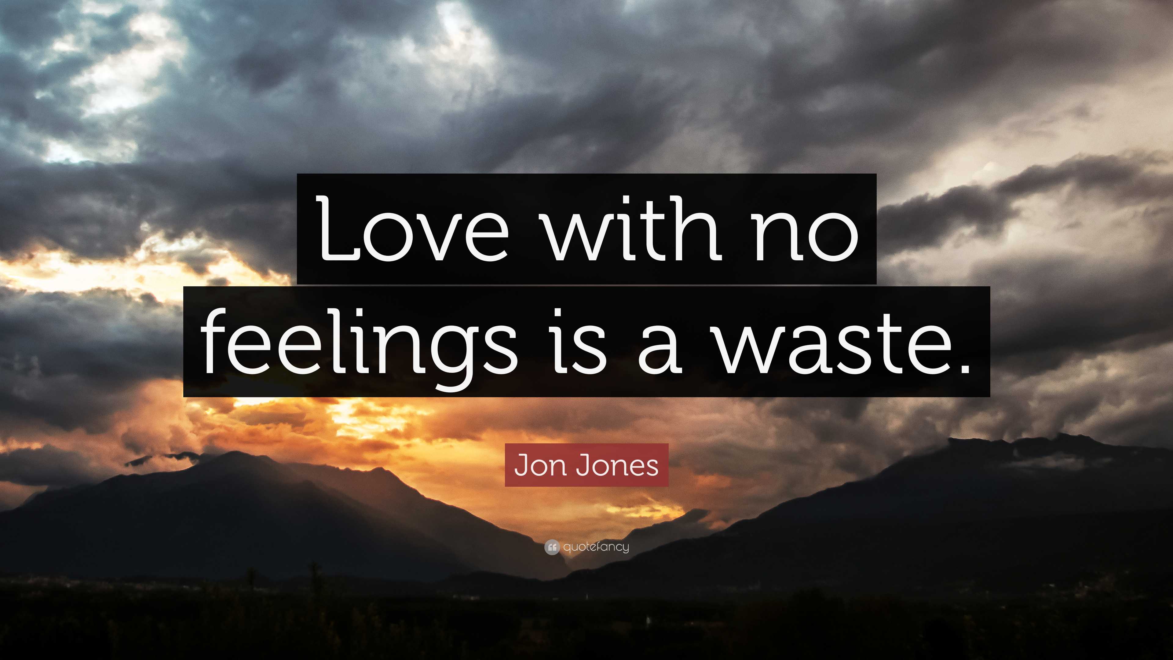Jon Jones Quote: “Love with no feelings is a waste.”