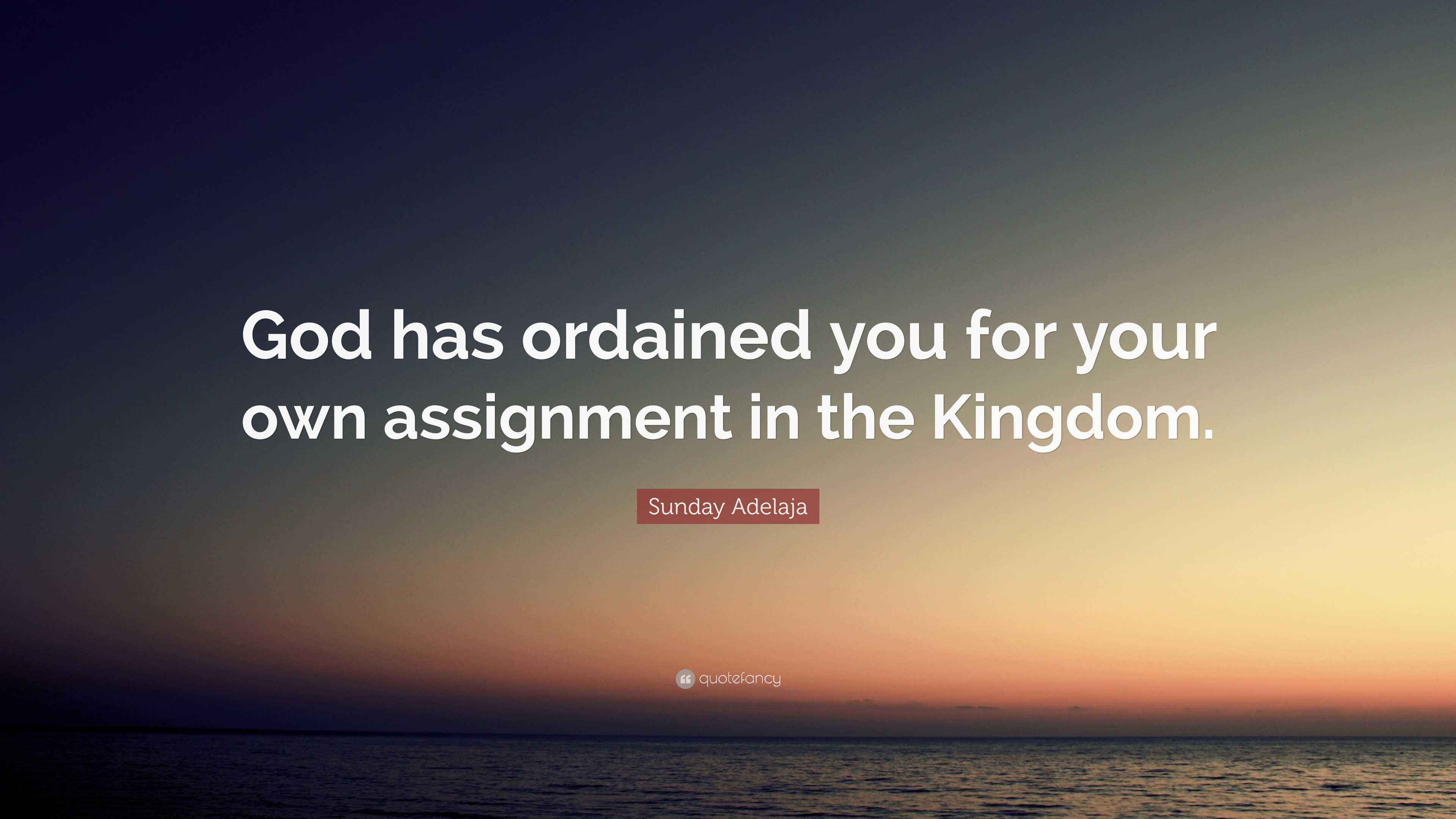 Sunday Adelaja Quote: “God has ordained you for your own assignment in ...