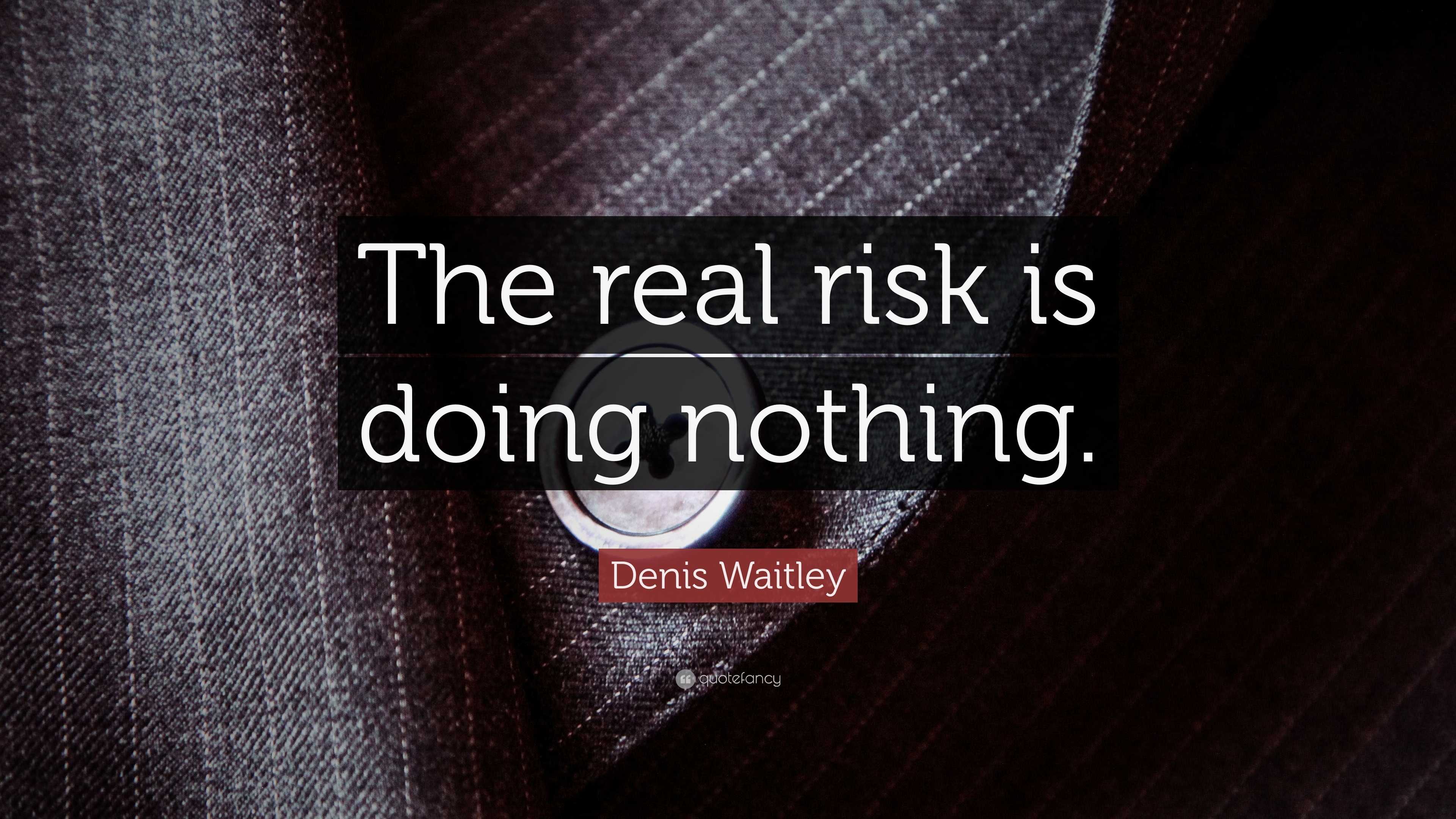 Denis Waitley Quote: “The real risk is doing nothing.”