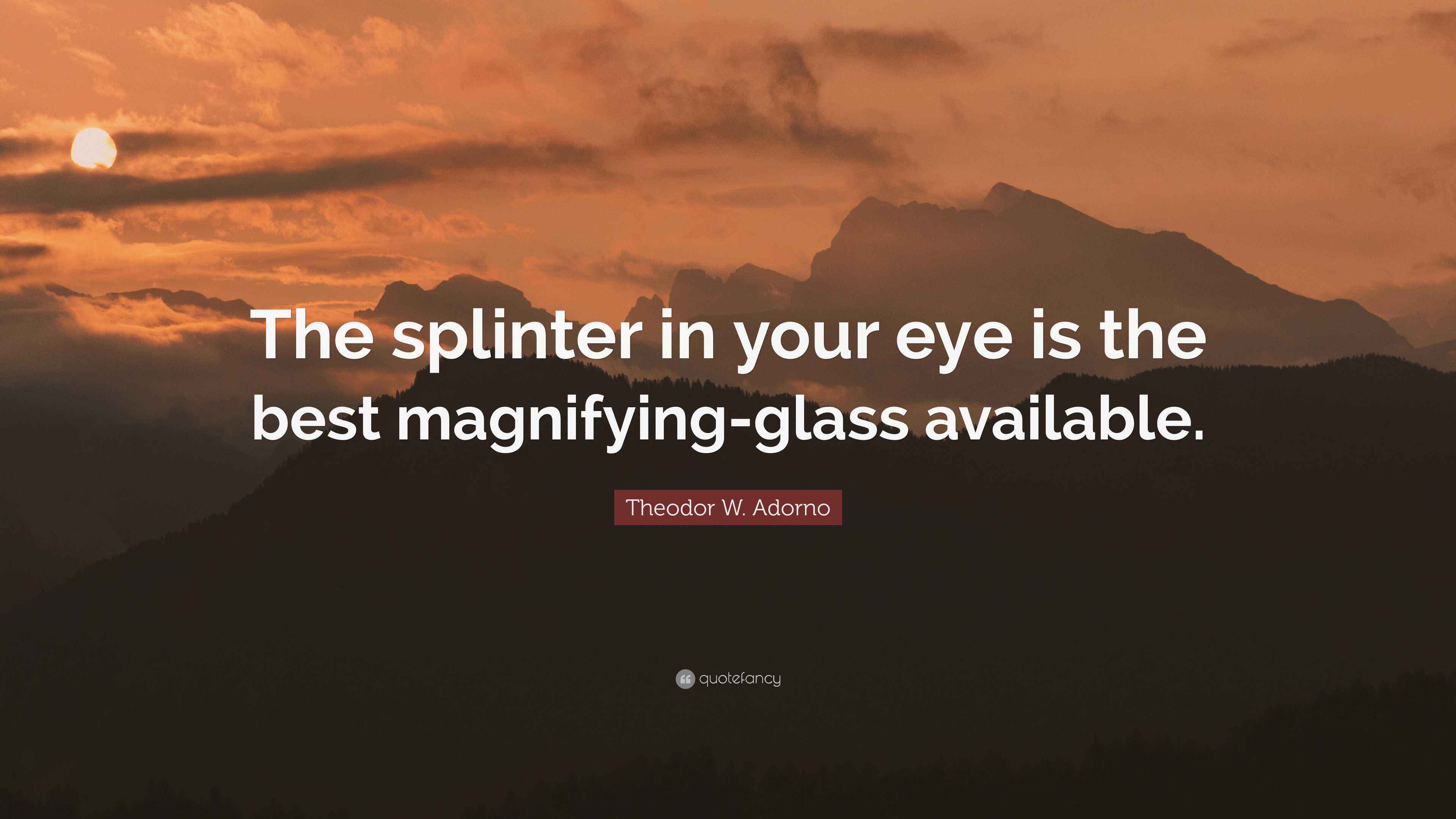 Theodor W. Adorno Quote: “The splinter in your eye is the best ...